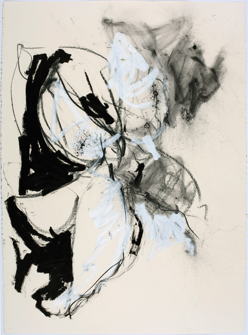 Joseph Havel - Artists - Anthony Meier