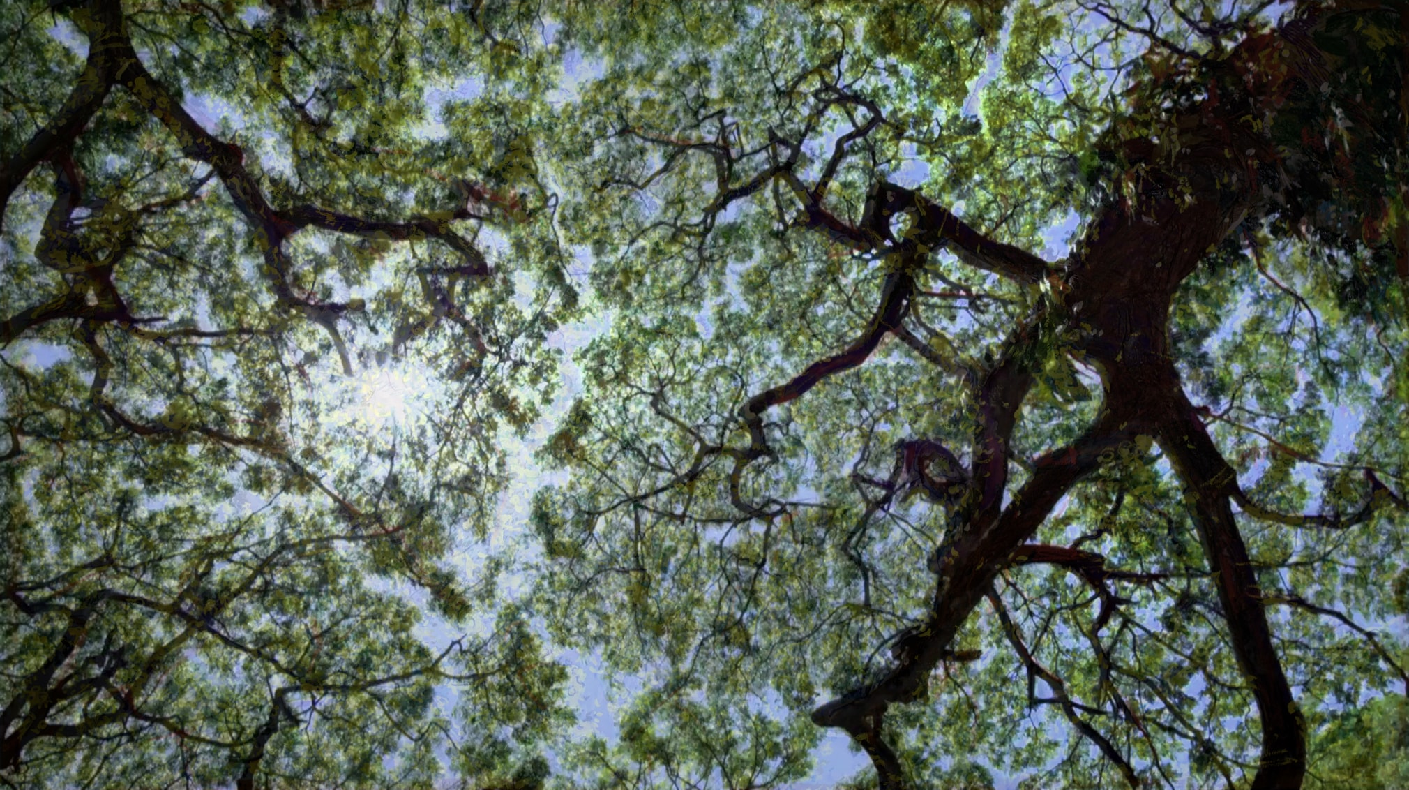 Shoja Azari & Shahram Karimi: The Cold Earth Sleeps Below - CHELSEA ...