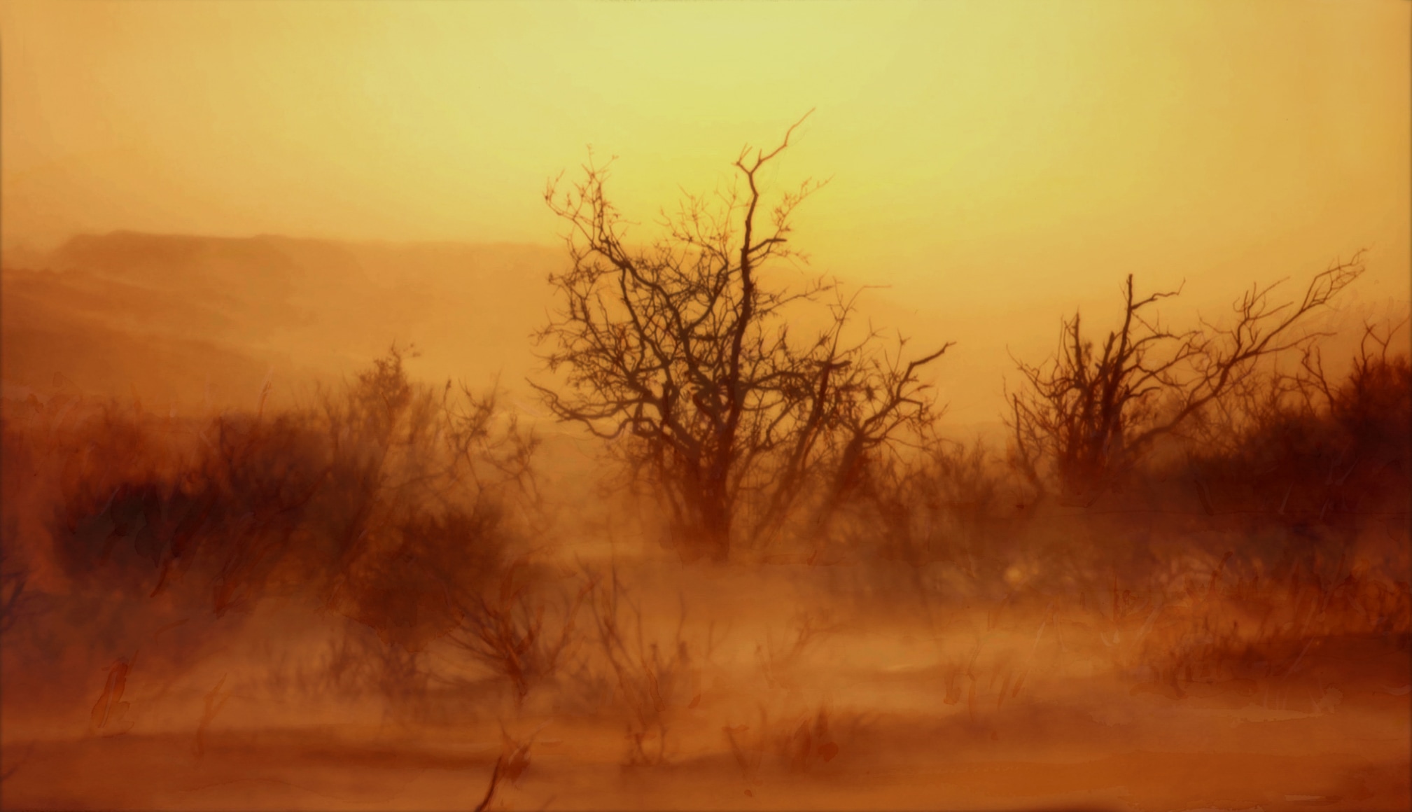 Shoja Azari & Shahram Karimi: The Cold Earth Sleeps Below - CHELSEA ...