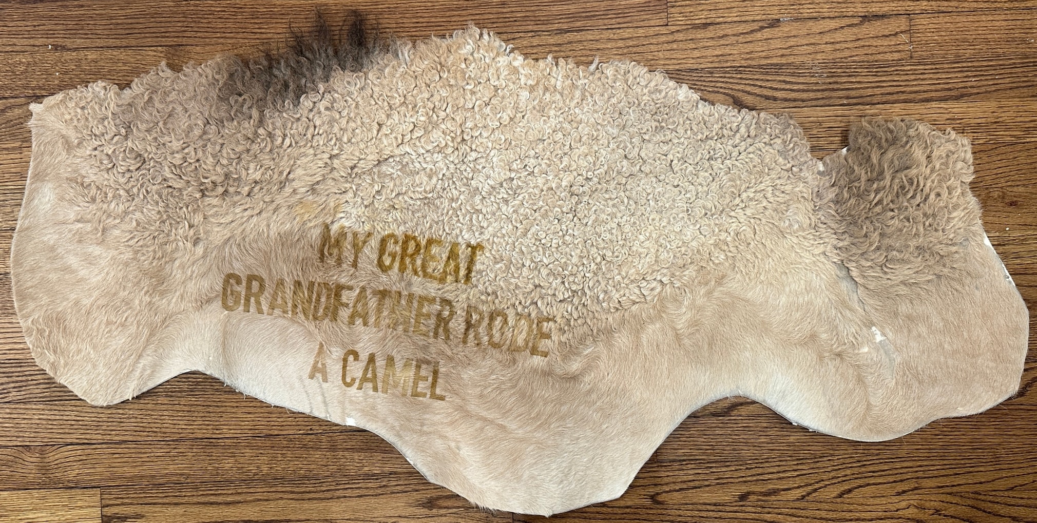 Nature and Form: Sculptural Dialogues Across Time and Place - New York ...