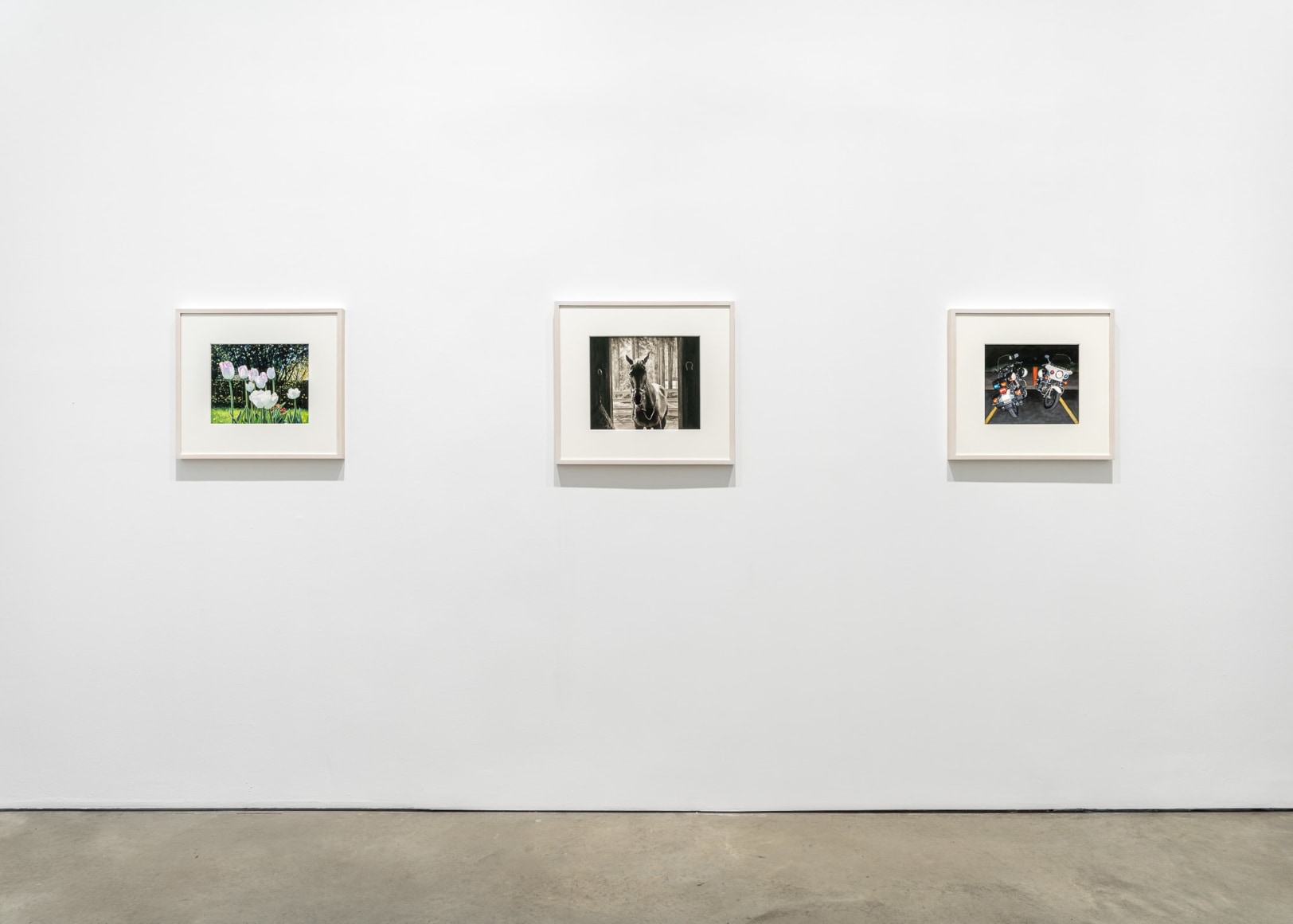 Project Room: Tim Gardner - - GALLERY EXHIBITIONS - 303 Gallery