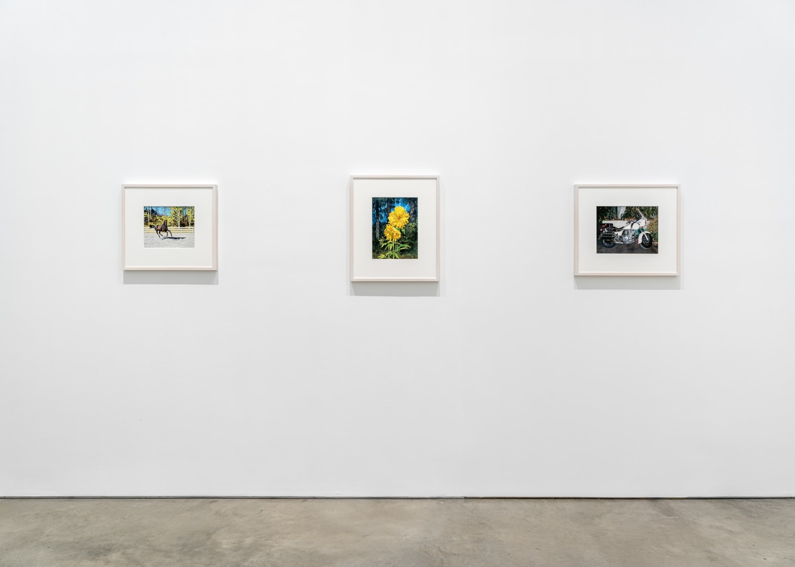 Project Room: Tim Gardner - - GALLERY EXHIBITIONS - 303 Gallery