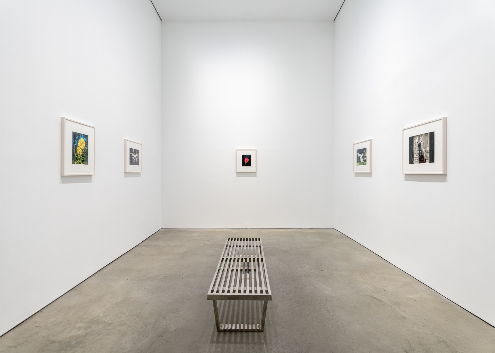 Project Room: Tim Gardner - - GALLERY EXHIBITIONS - 303 Gallery