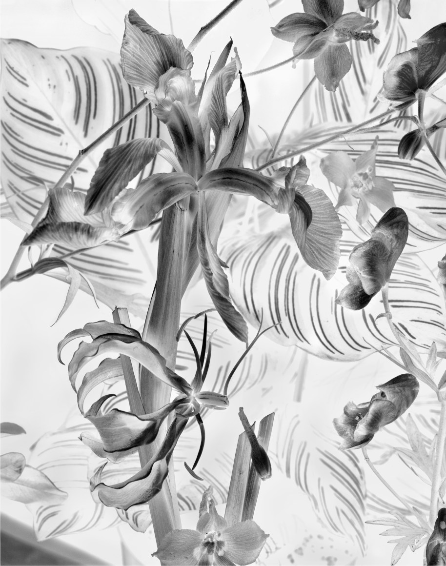 Barbara Jaffe - Artists - Laurence Miller Gallery