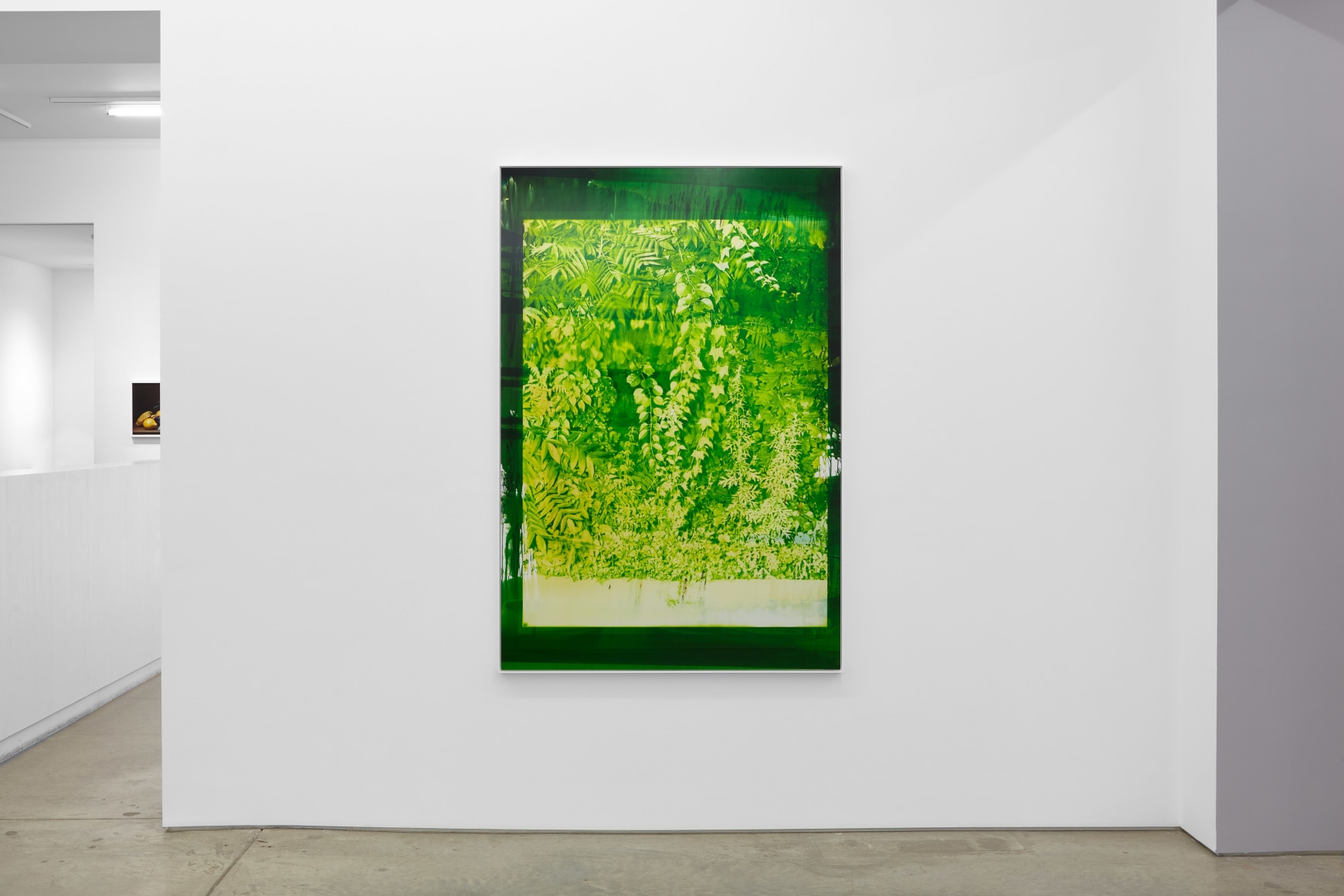 Bryan Graf - Telepathic Jungle - Exhibitions - Yancey Richardson