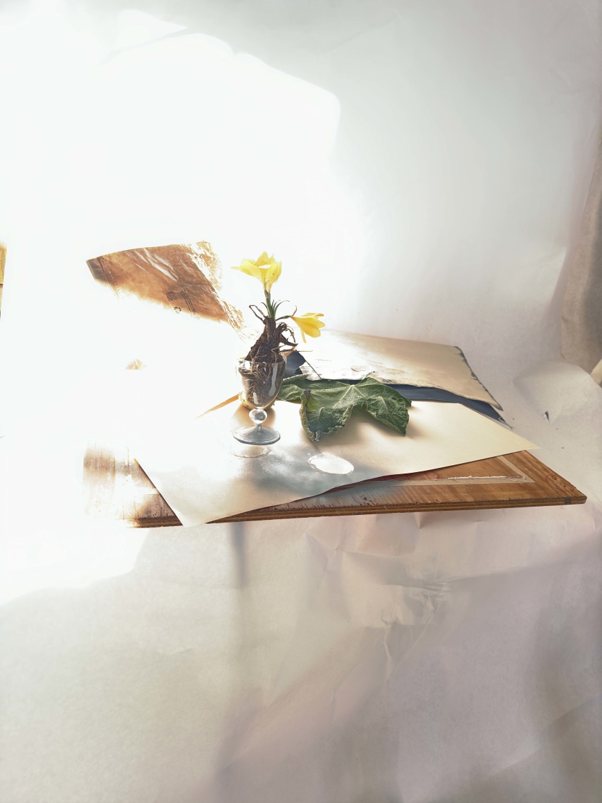 Laura Letinsky - For, and because of... - Exhibitions - Yancey Richardson