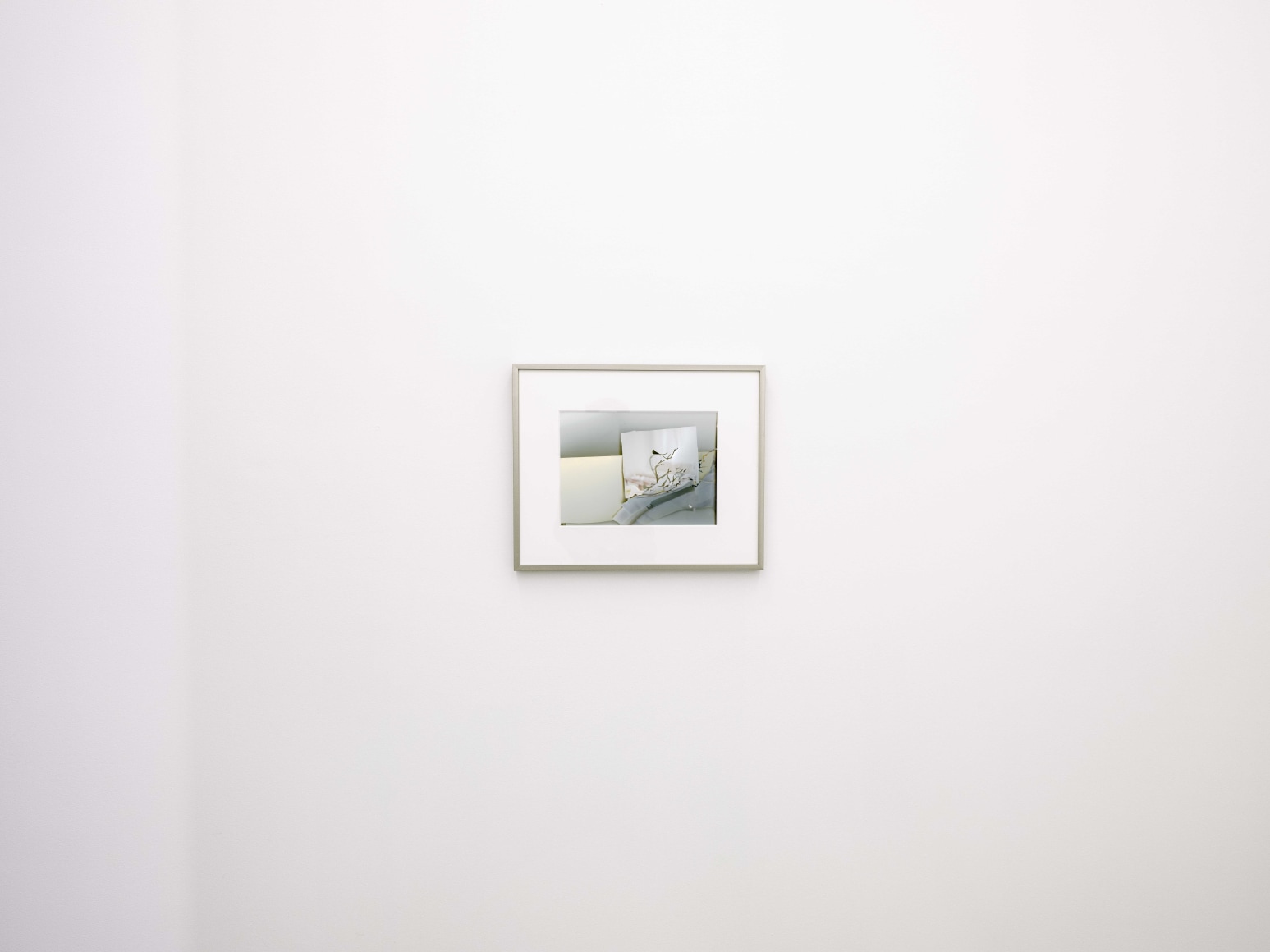 Laura Letinsky - Albeit - Exhibitions - Yancey Richardson