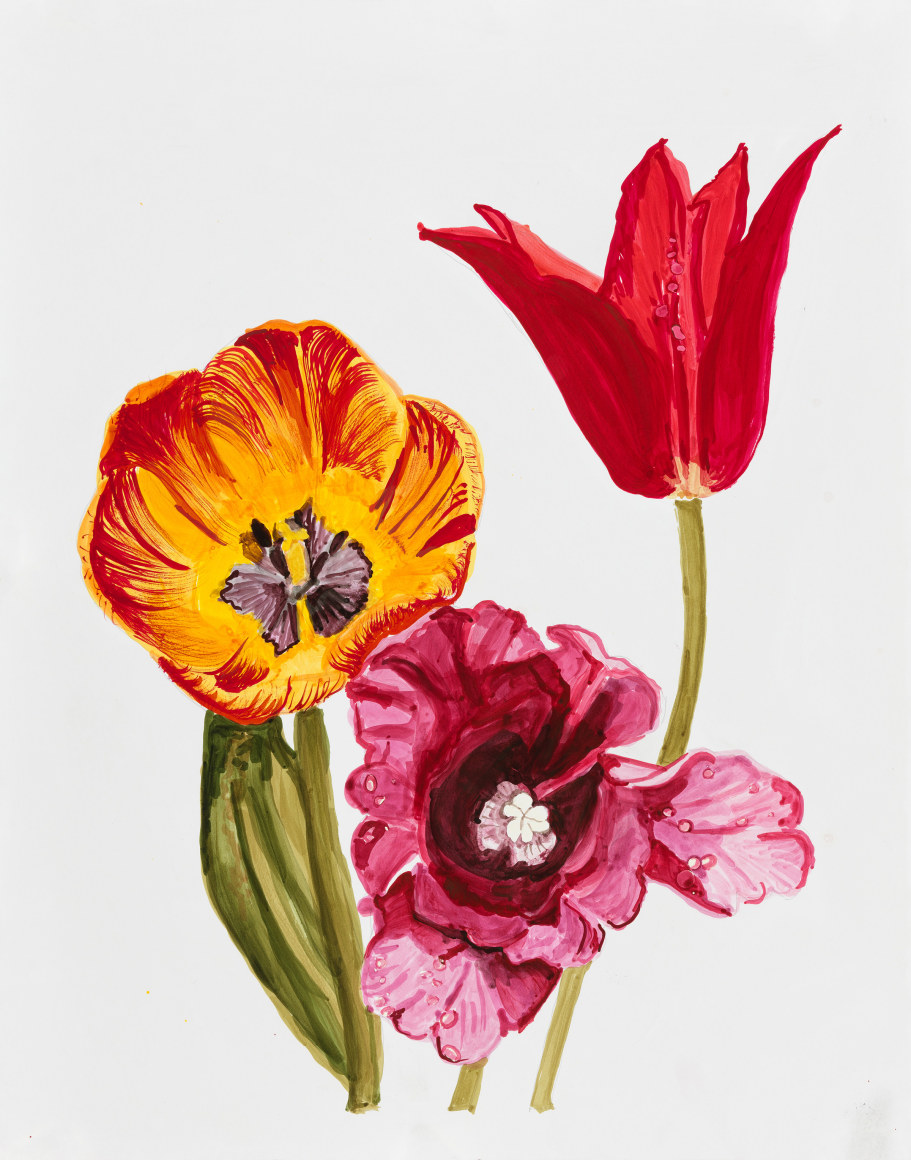 Sharon Core - Artists - Yancey Richardson