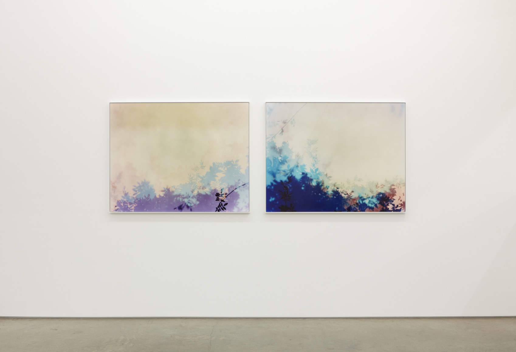 Bryan Graf - Telepathic Jungle - Exhibitions - Yancey Richardson