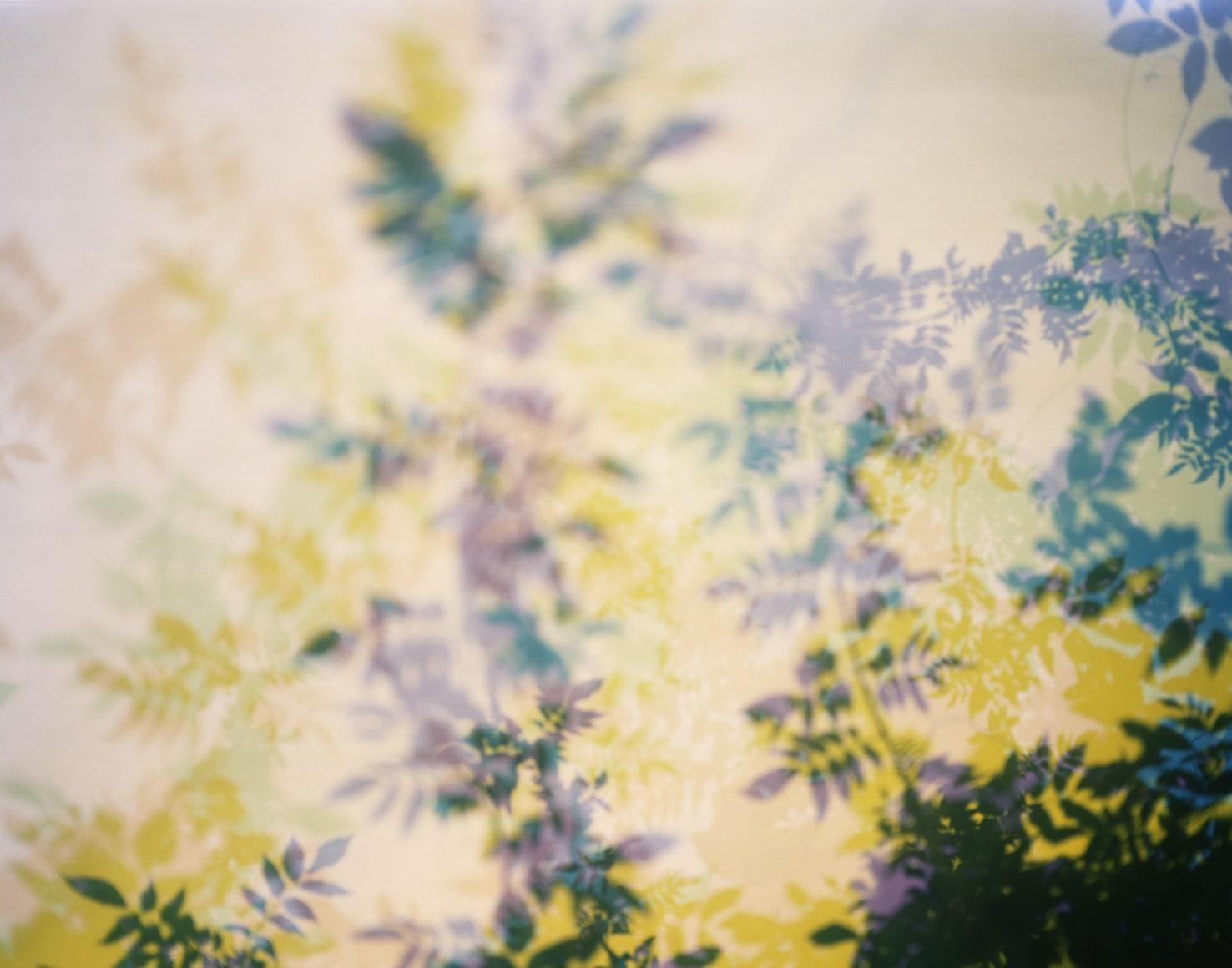 Bryan Graf - Artists - Yancey Richardson