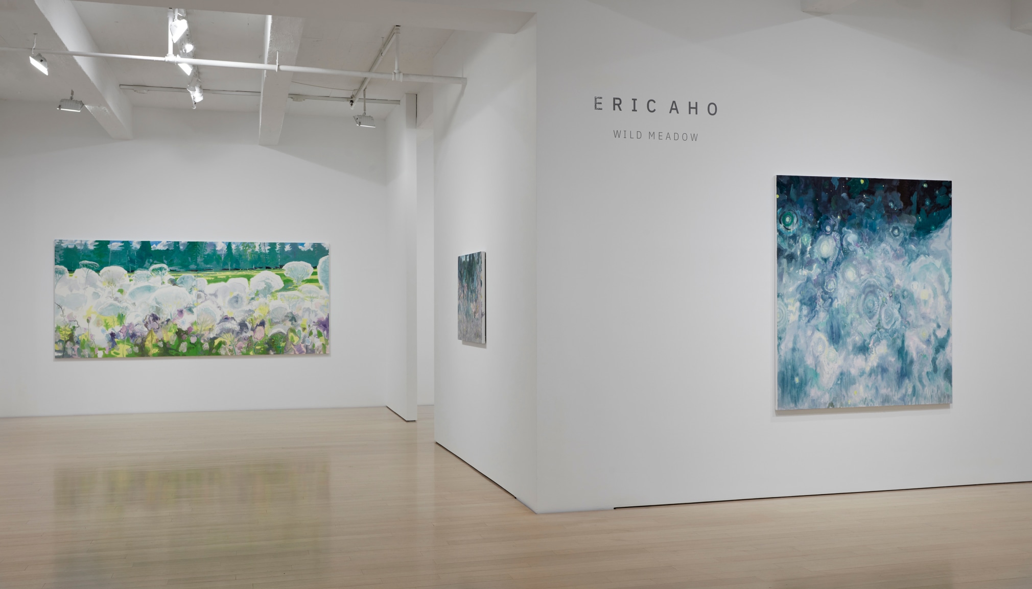 Eric Aho: Wild Meadow - - Exhibitions - DC Moore Gallery