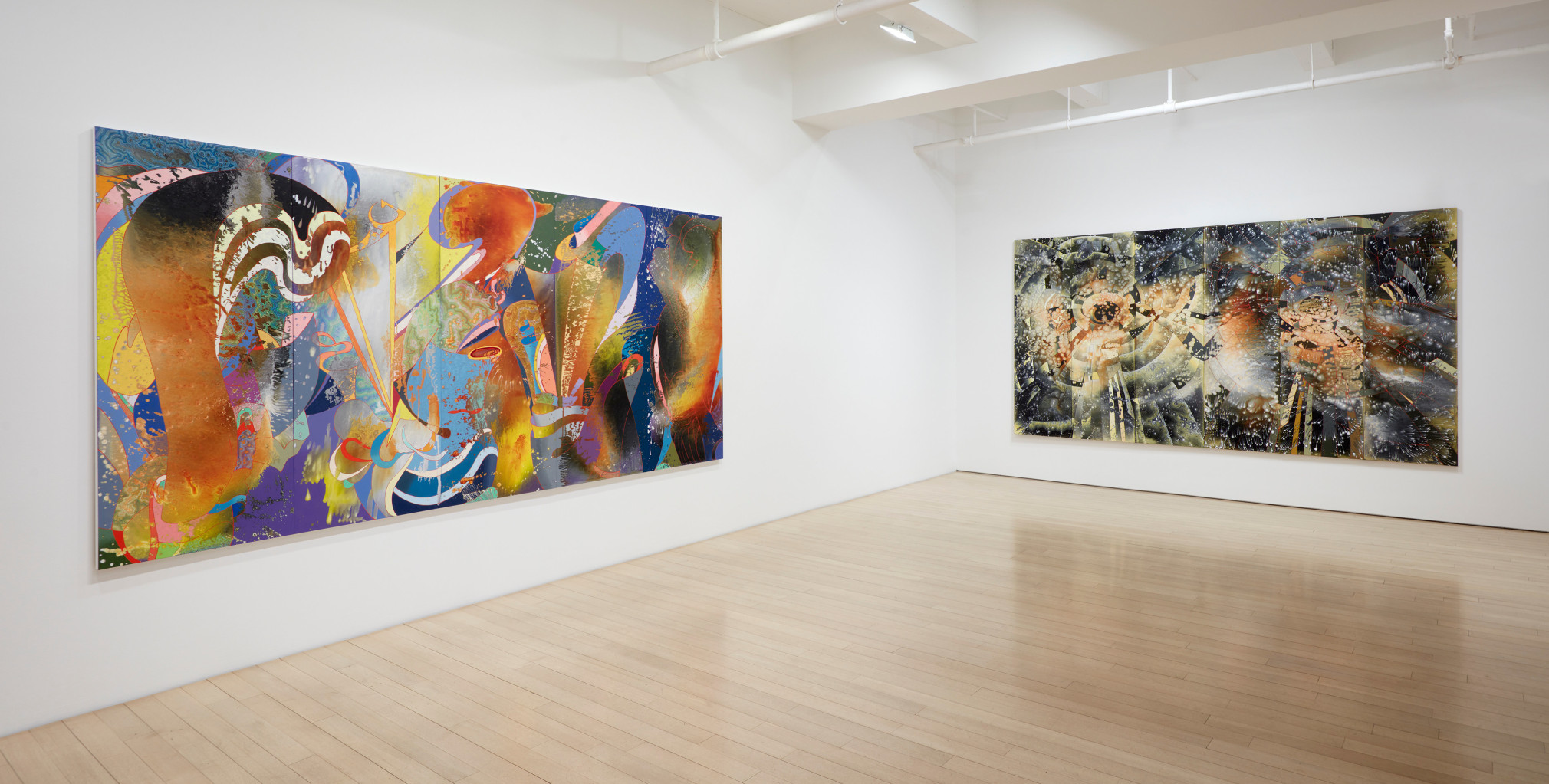 Barbara Takenaga: Whatsis - - Exhibitions - DC Moore Gallery