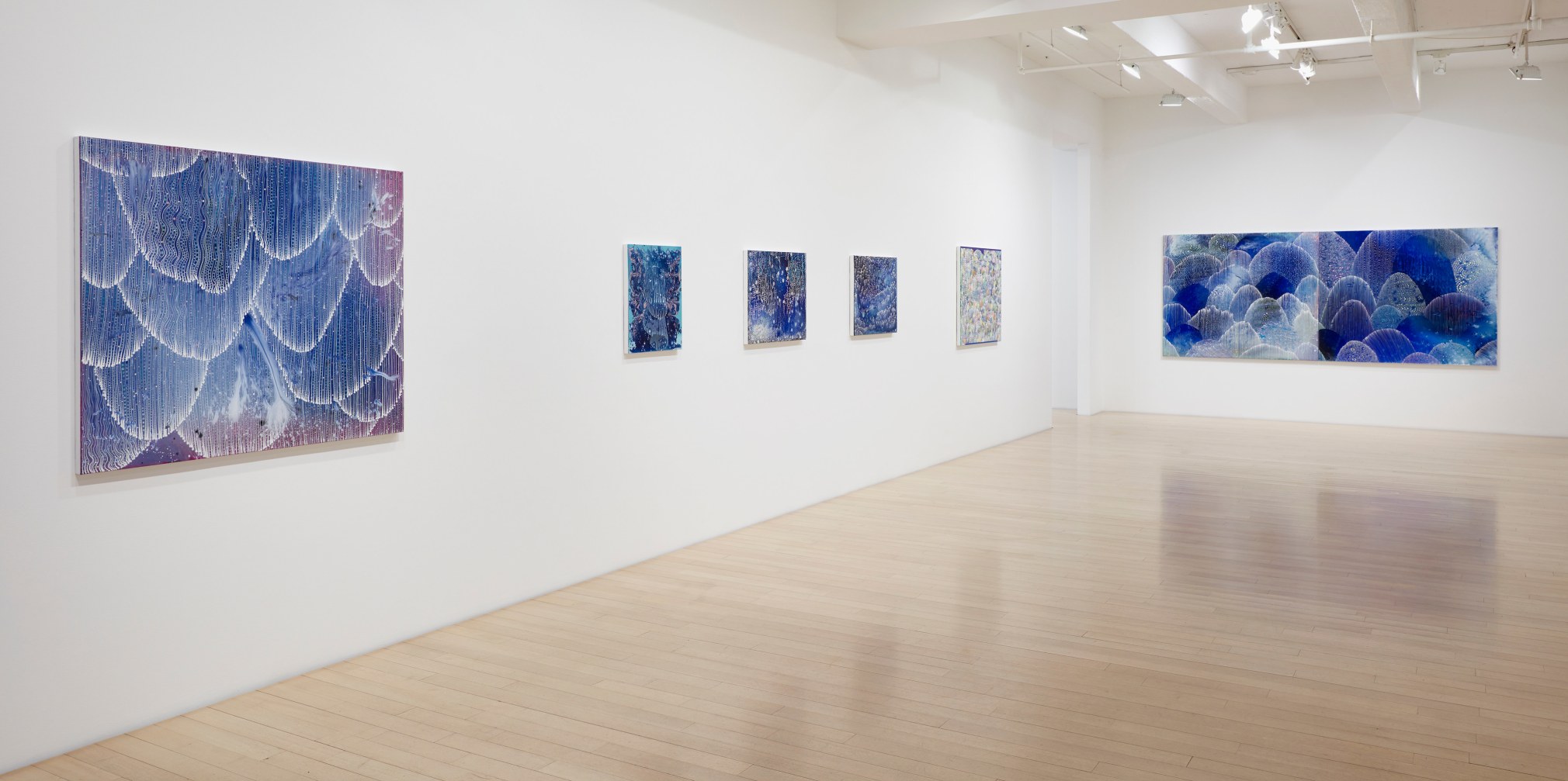 Barbara Takenaga: Whatsis - - Exhibitions - DC Moore Gallery