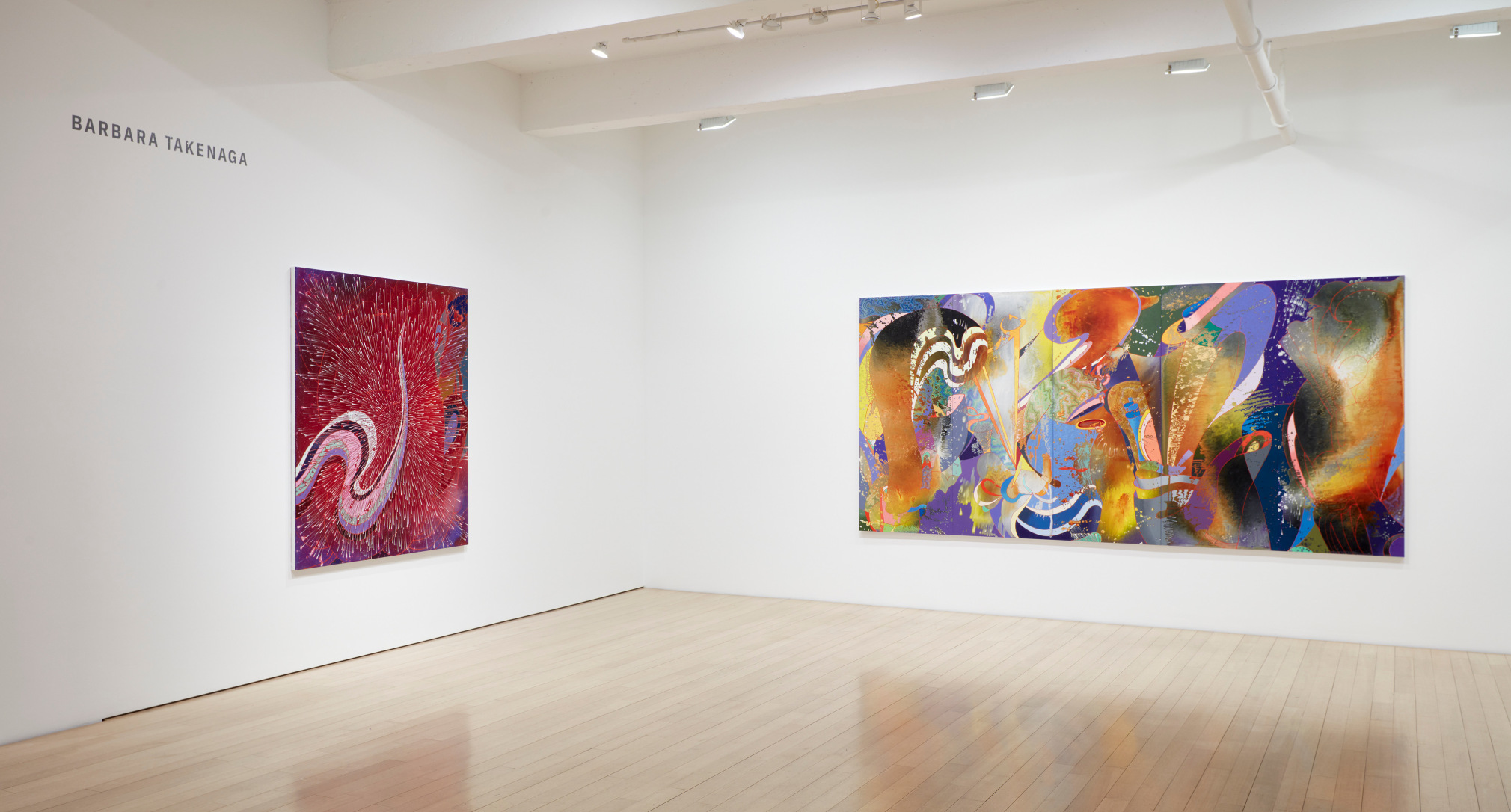 Barbara Takenaga: Whatsis - - Exhibitions - DC Moore Gallery