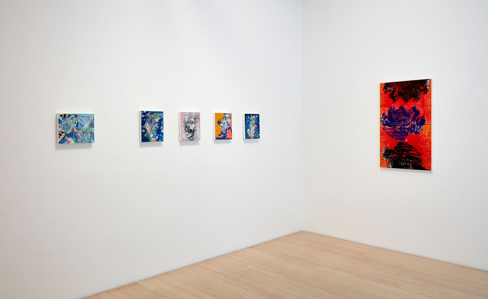 Barbara Takenaga: Whatsis - - Exhibitions - DC Moore Gallery