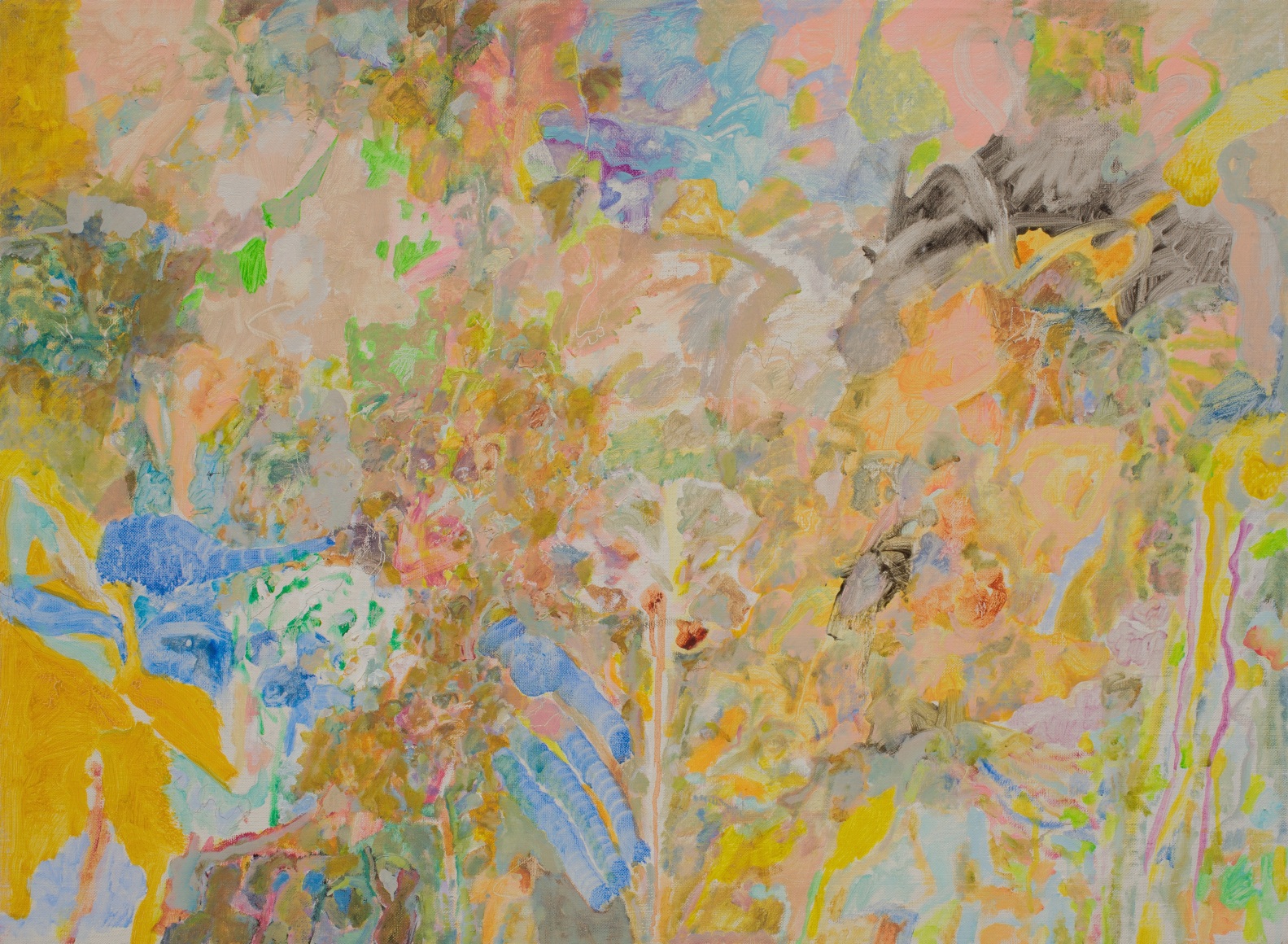 Max Kozloff - Artists - DC Moore Gallery