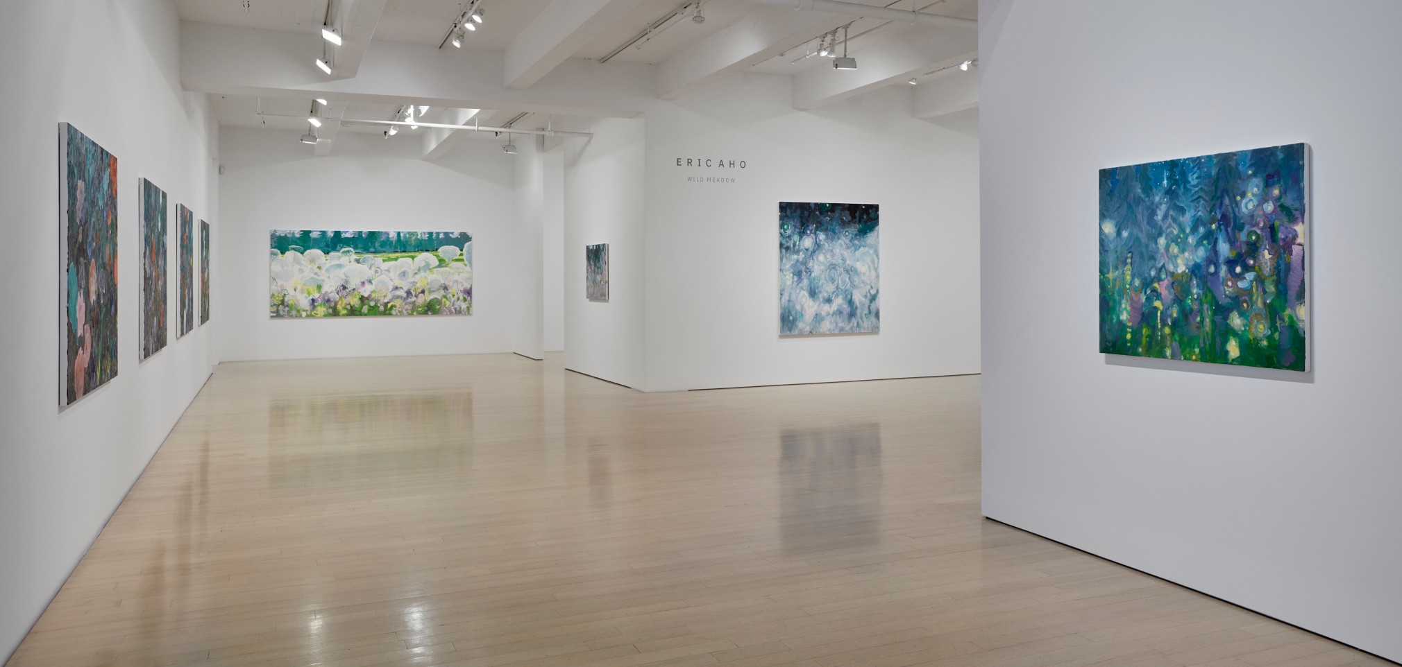 Eric Aho: Wild Meadow - - Exhibitions - DC Moore Gallery