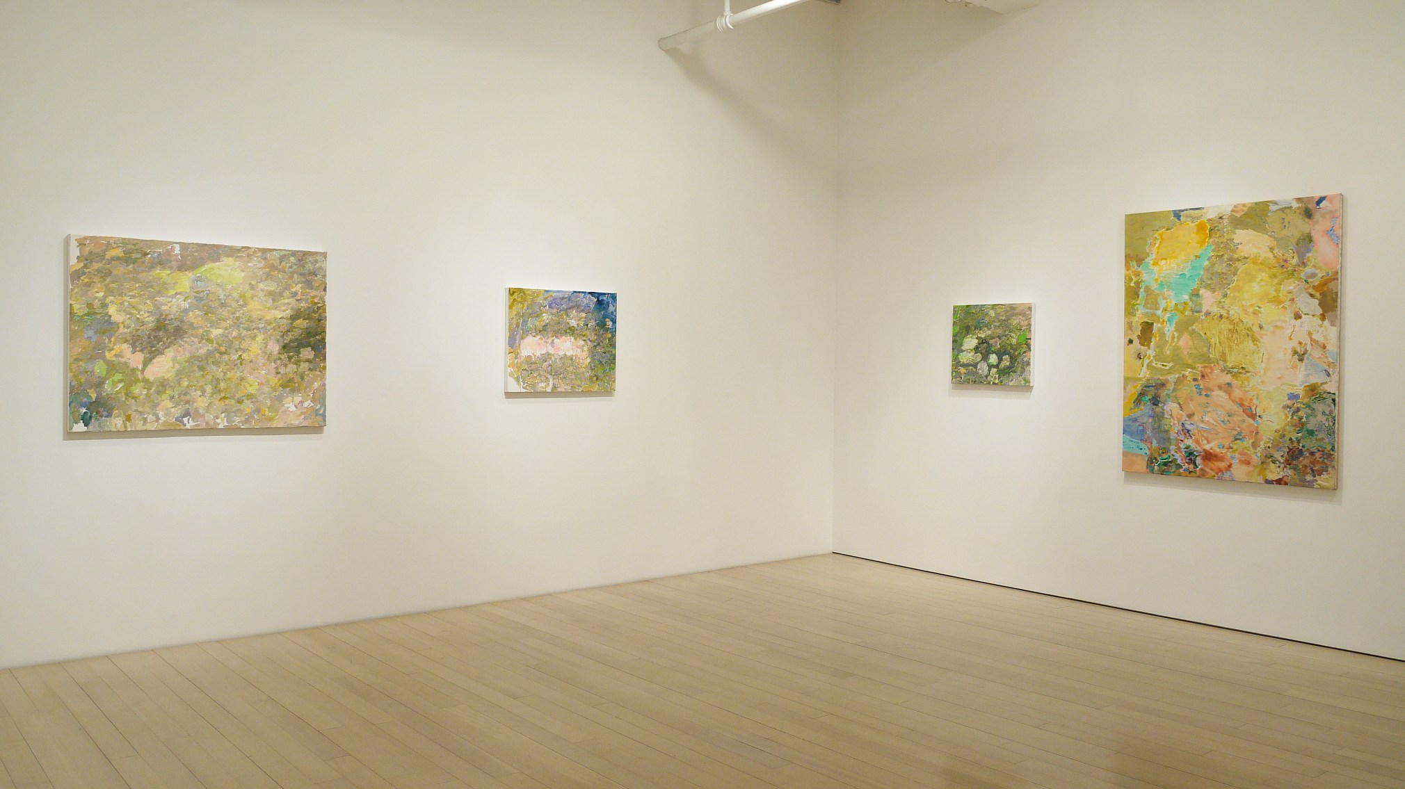 Max Kozloff - Artists - DC Moore Gallery