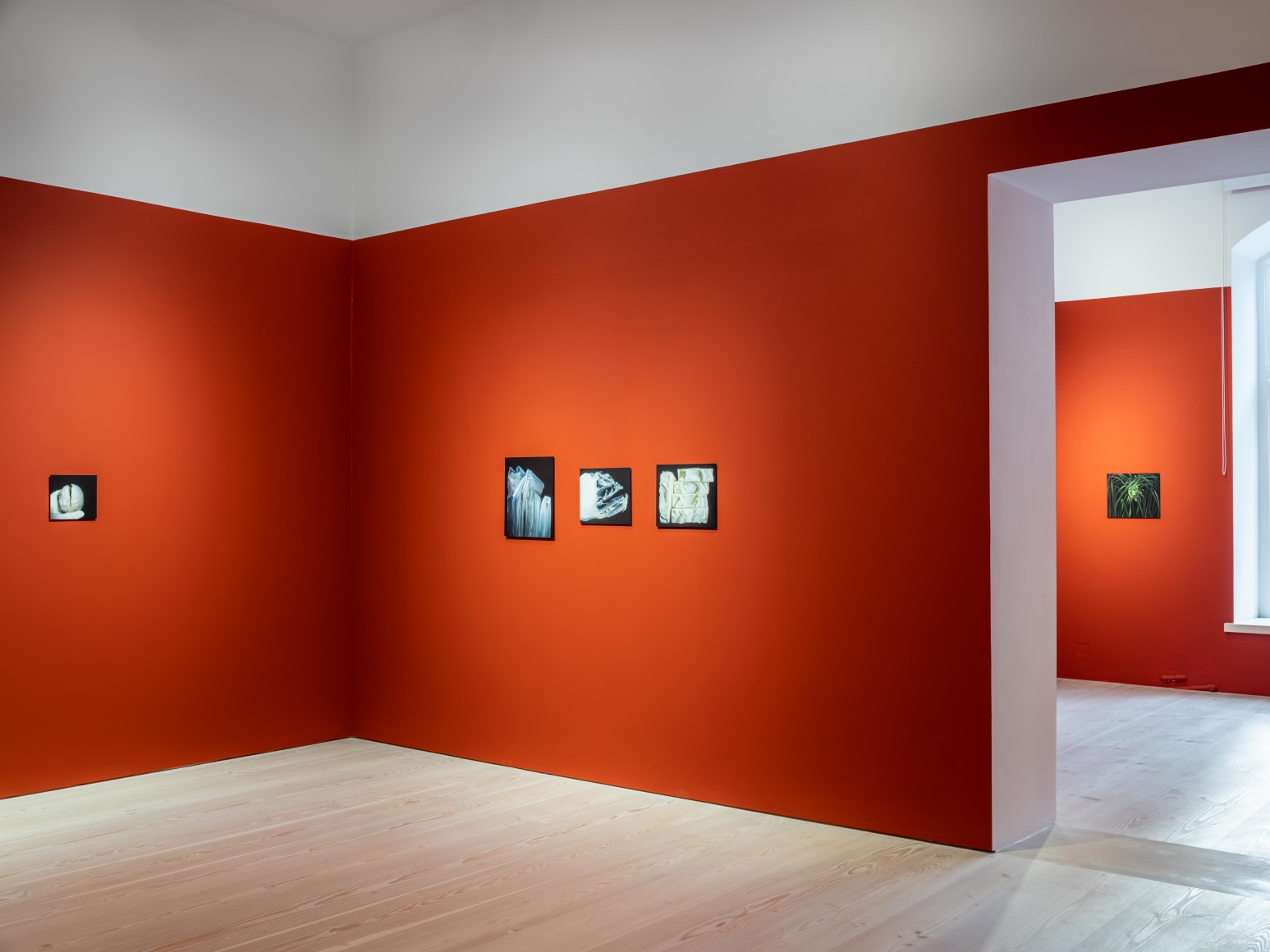 Anna Camner - Exhibitions - galerieforsblom.com