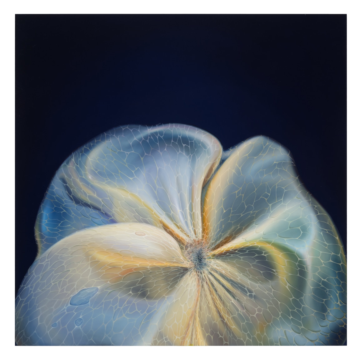 Anna Camner - Artists - galerieforsblom.com