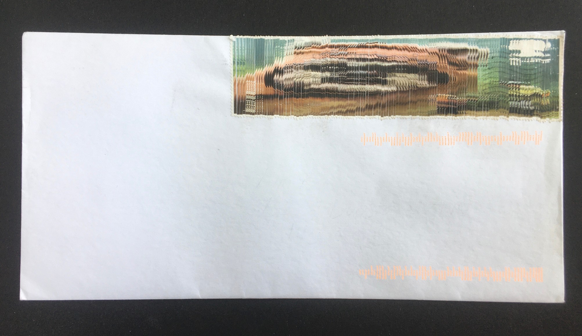 Kim Rugg - Artists - Mark Moore Fine Art