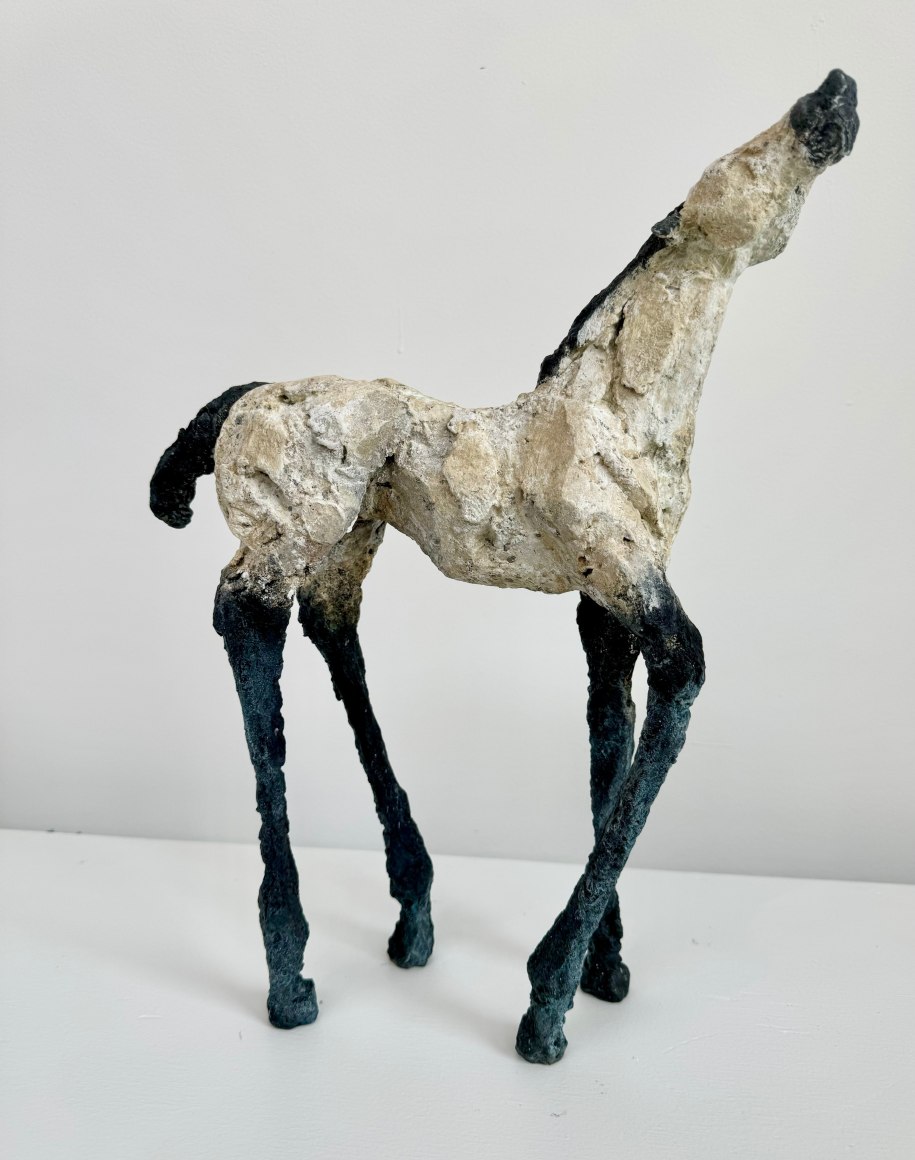 Siri Hollander - Artists - Pryor Fine Art