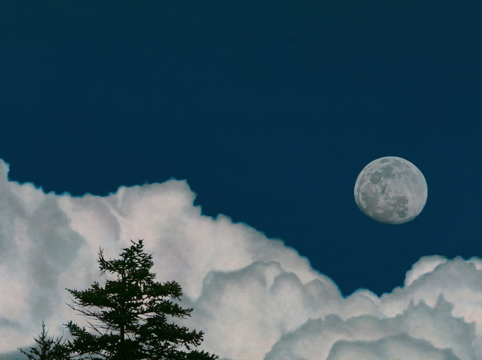 David Vickery - Artists - Dowling Walsh