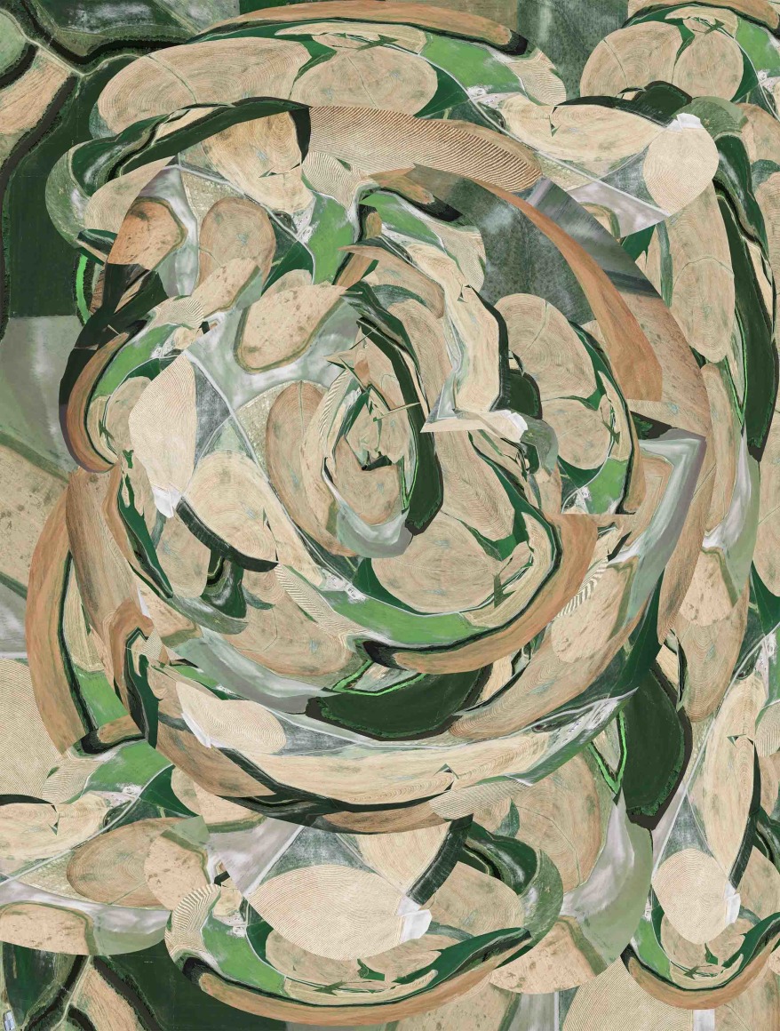 ANNE ROWLAND: Pictures - Exhibitions - HEMPHILL Artworks