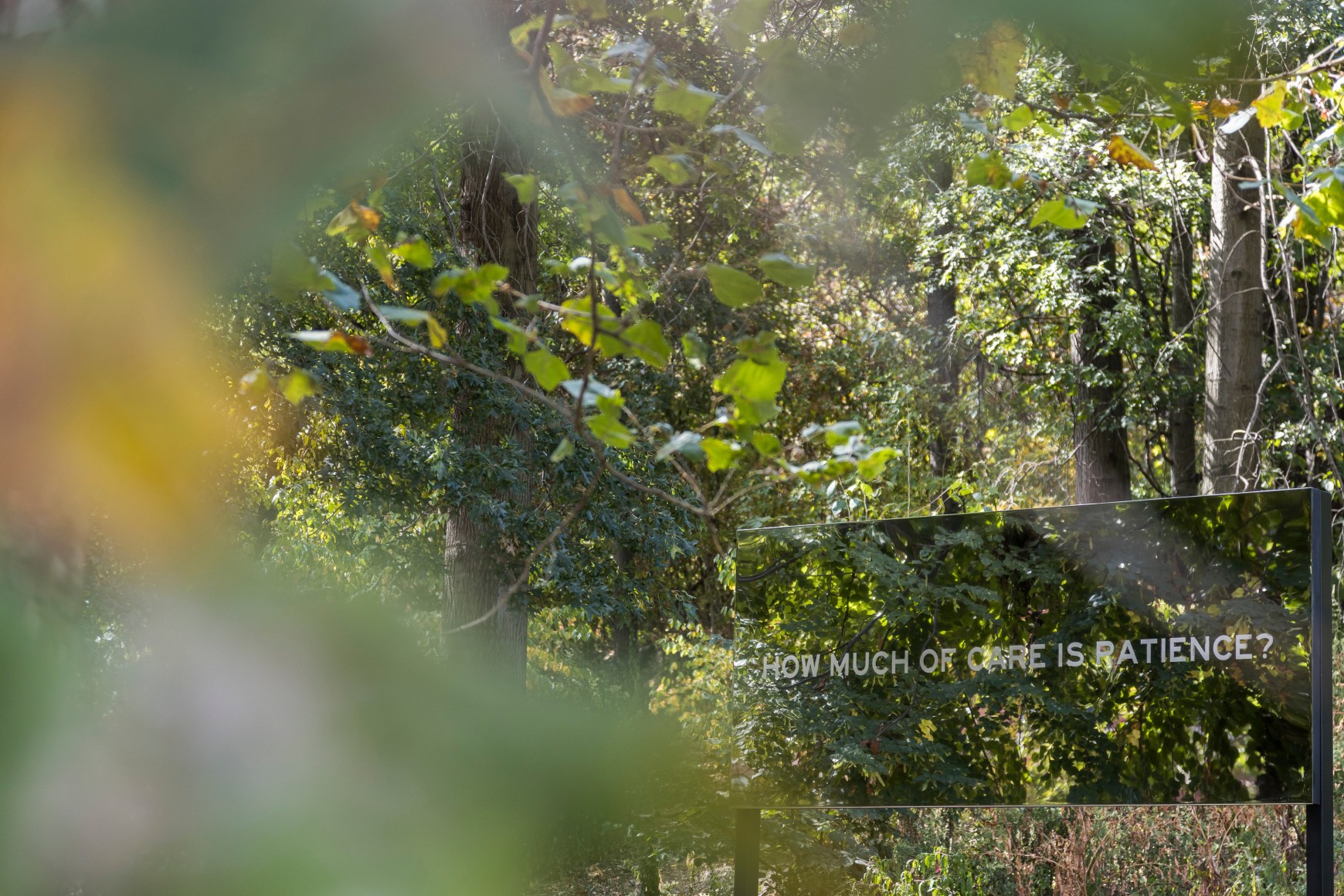 Chloë Bass - Artists - Alexander Gray Associates