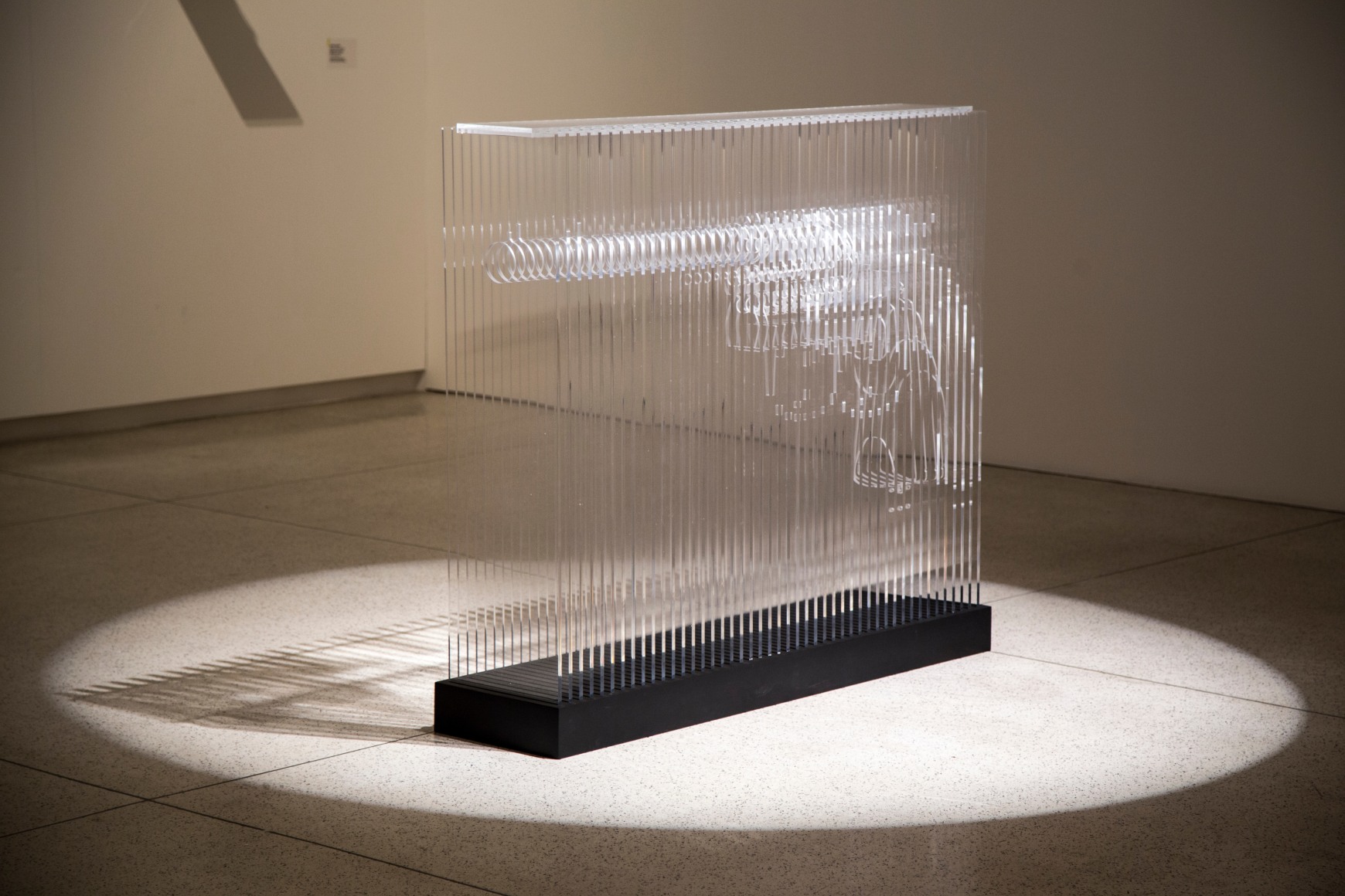 Regina Silveira - Artists - Alexander Gray Associates