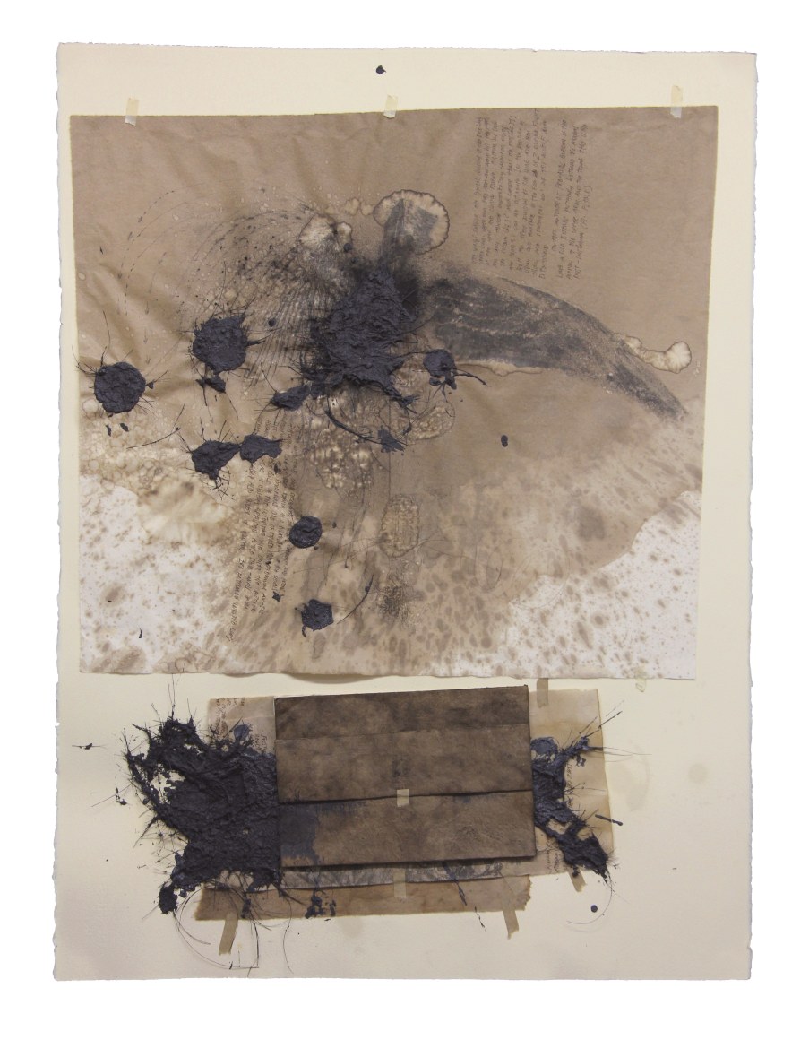 Ricardo Brey - Artists - Alexander Gray Associates