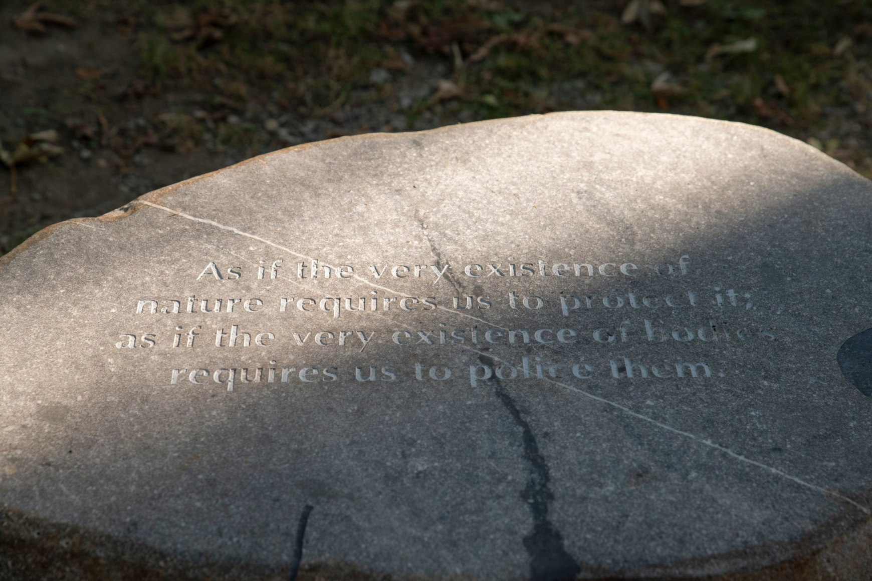 Chloë Bass - Artists - Alexander Gray Associates