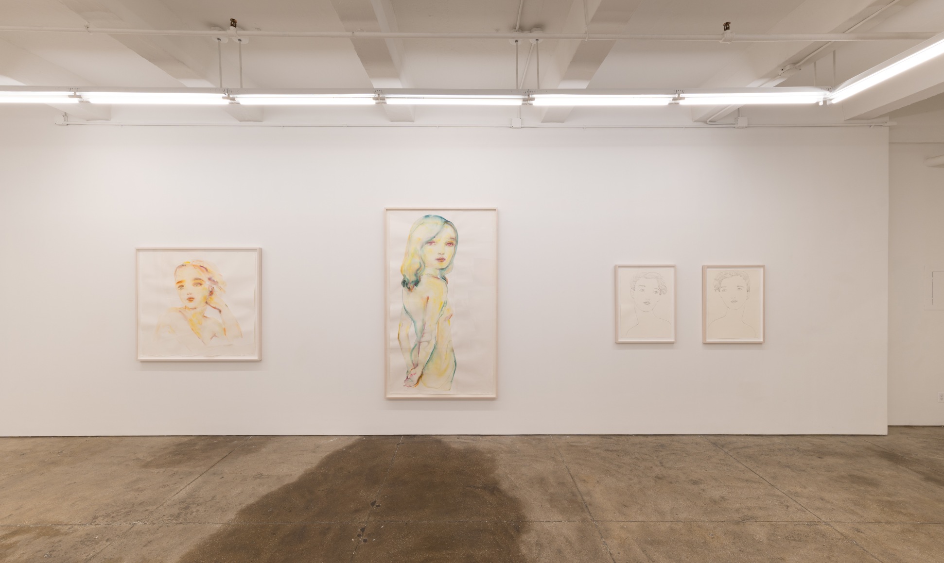 Kim McCarty - New Work - Exhibitions - Morgan Lehman Gallery