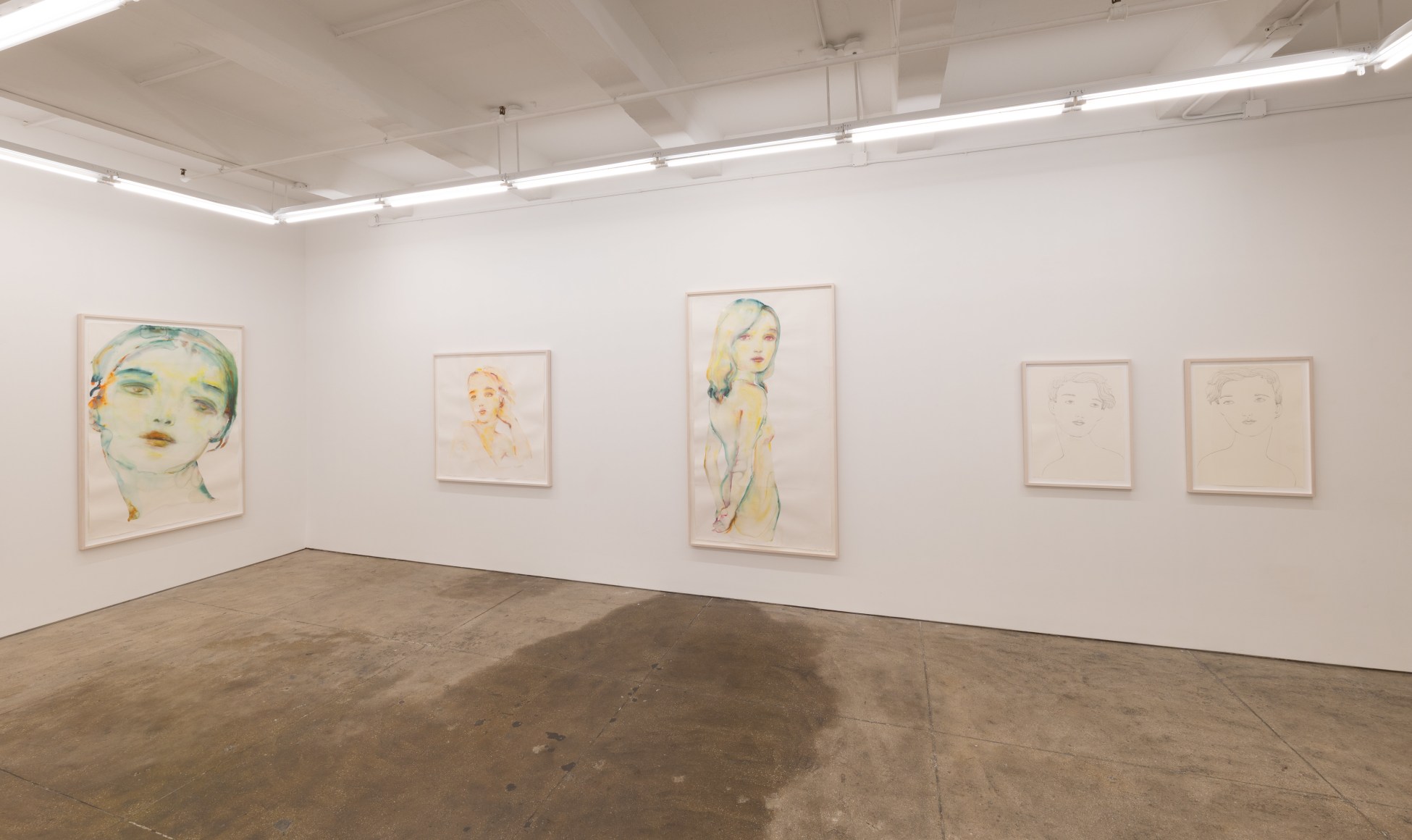 Kim McCarty - New Work - Exhibitions - Morgan Lehman Gallery