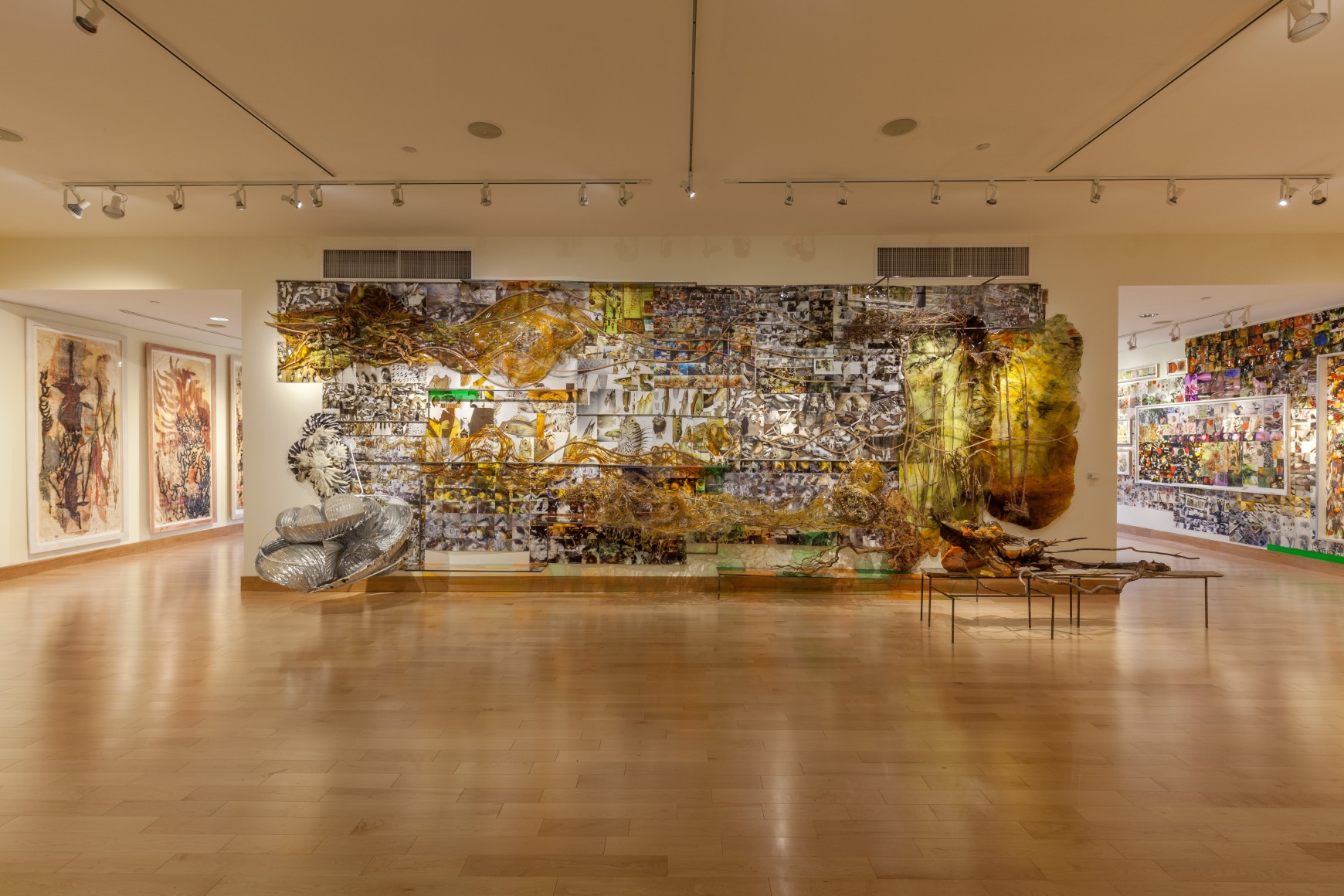 Judy Pfaff - Artists - Miles McEnery Gallery