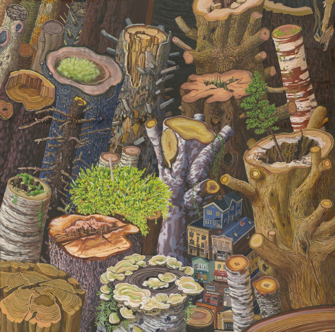 A Forest of Uncertain Things - Amy Casey - Shows - Foley Gallery