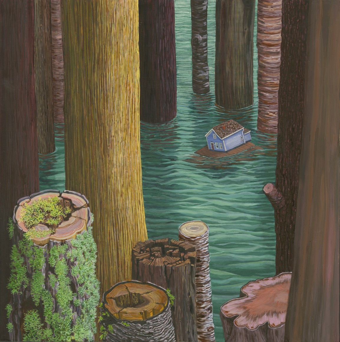 A Forest of Uncertain Things - Amy Casey - Shows - Foley Gallery