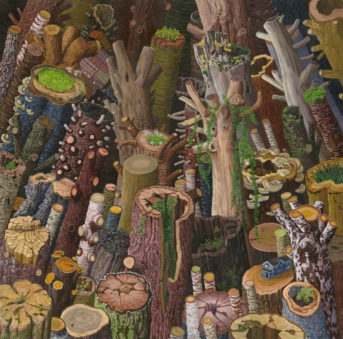 A Forest of Uncertain Things - Amy Casey - Shows - Foley Gallery