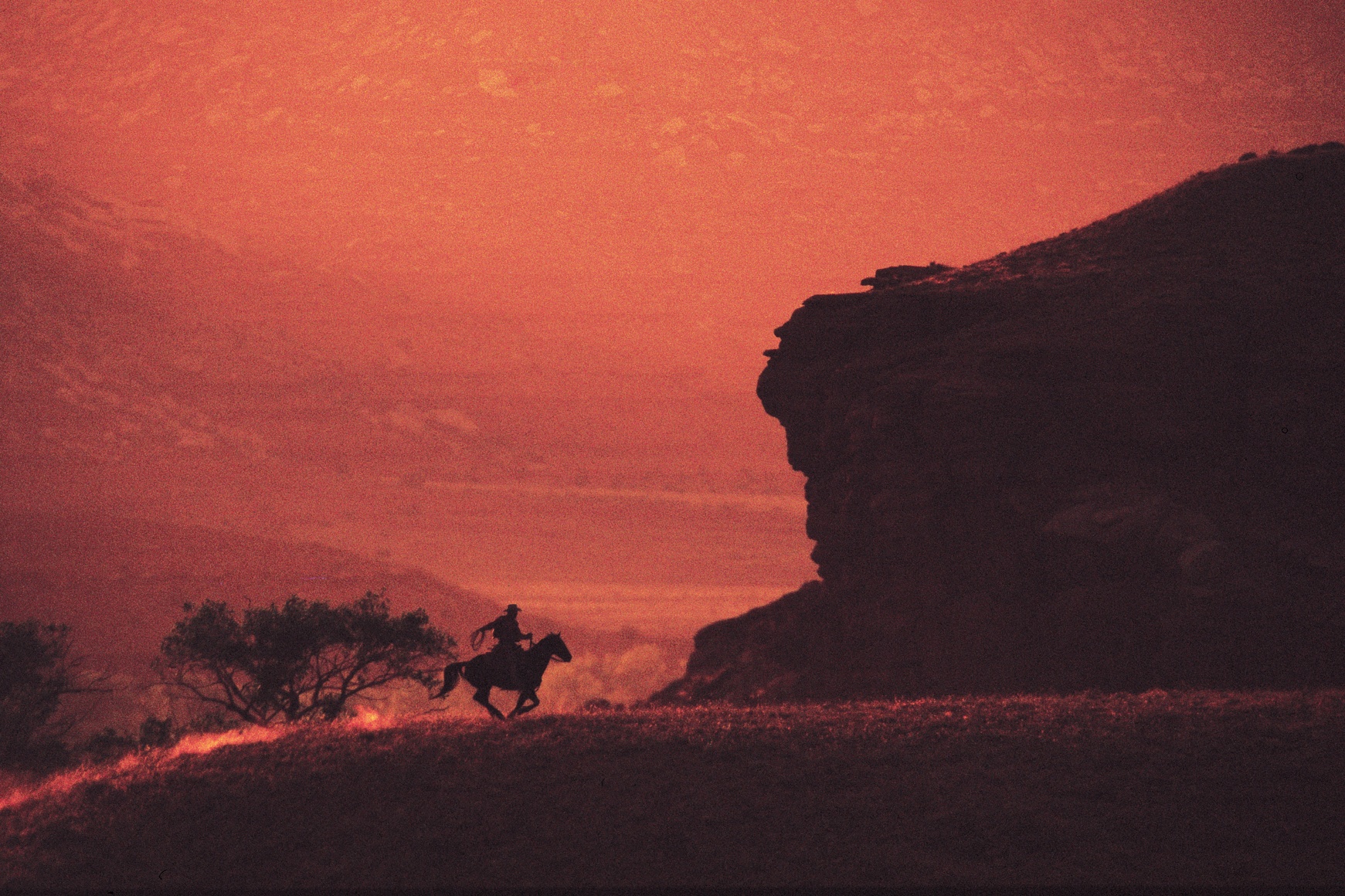 Jim Krantz - Artists - Danziger Gallery