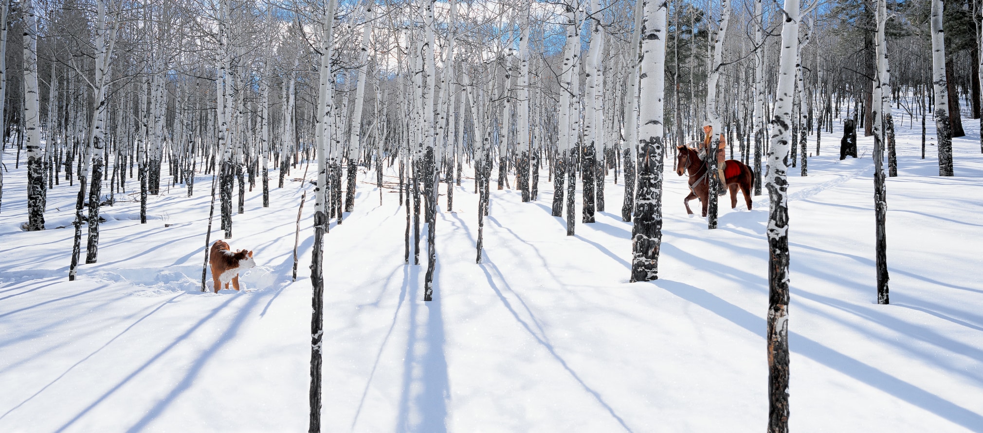 Jim Krantz - Artists - Danziger Gallery