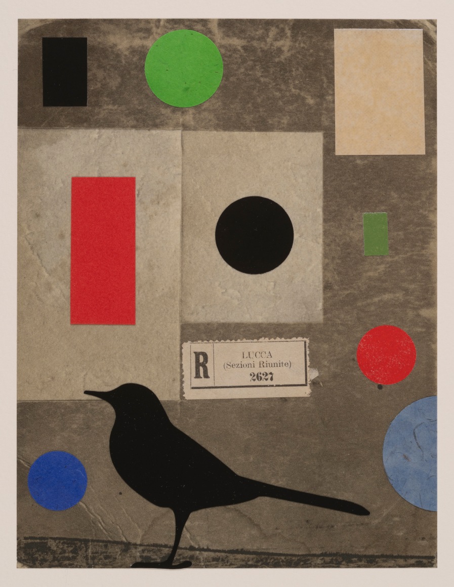 Dan Rizzie - Bird on a Blade - Exhibitions - Barry Whistler Gallery