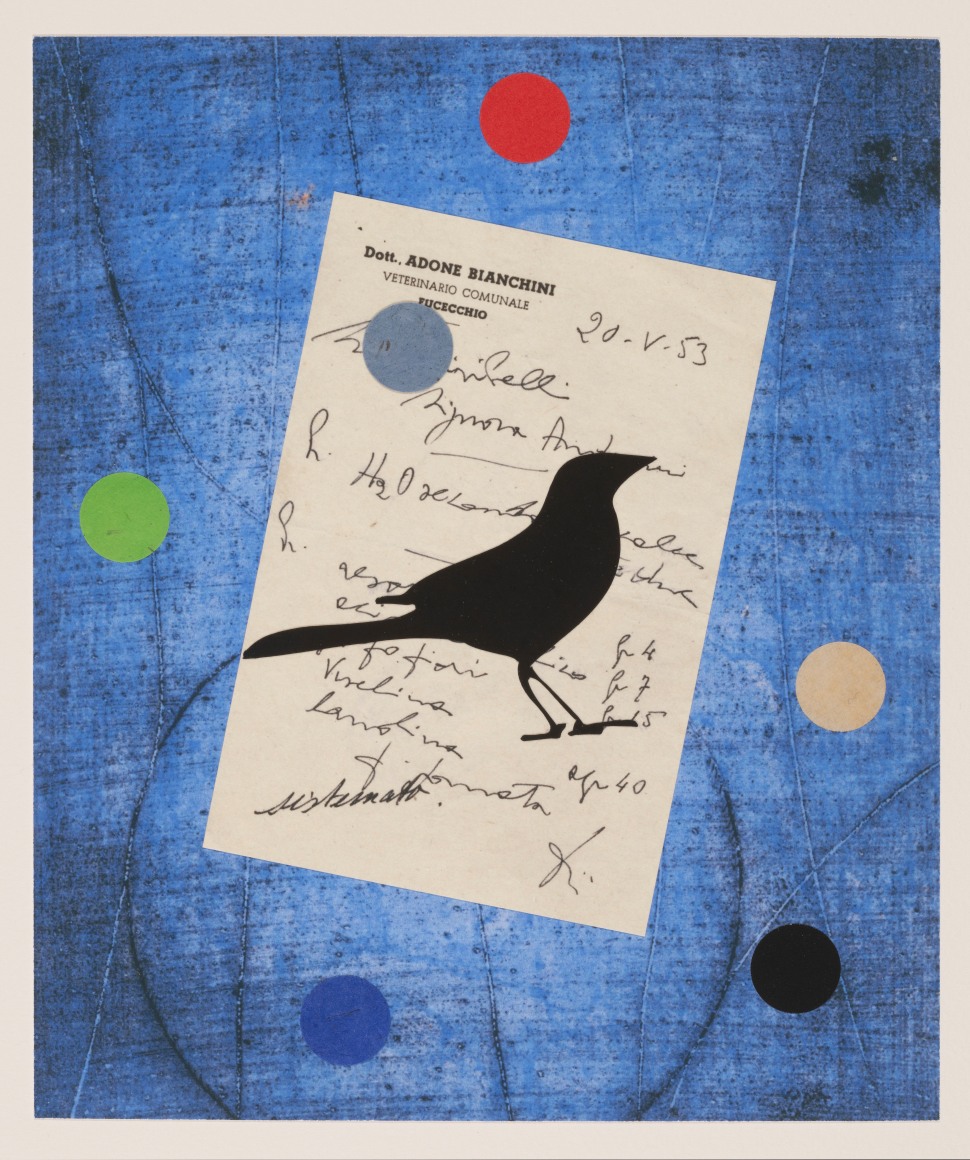 Dan Rizzie - Bird on a Blade - Exhibitions - Barry Whistler Gallery