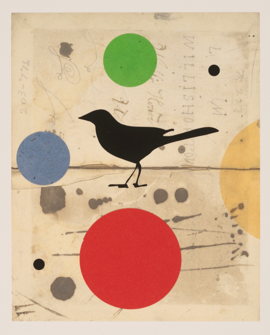 Dan Rizzie - Bird on a Blade - Exhibitions - Barry Whistler Gallery