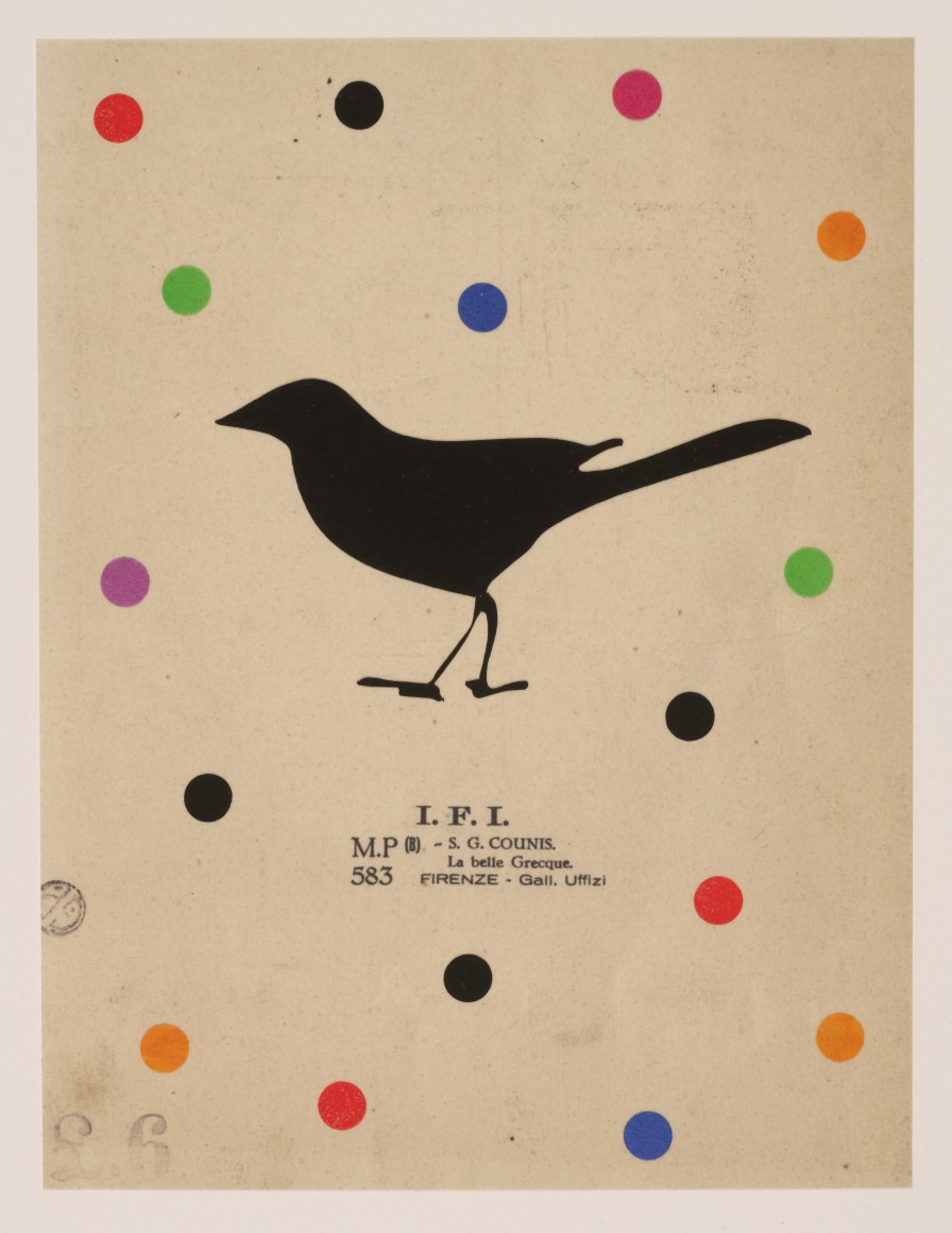 Dan Rizzie - Bird on a Blade - Exhibitions - Barry Whistler Gallery