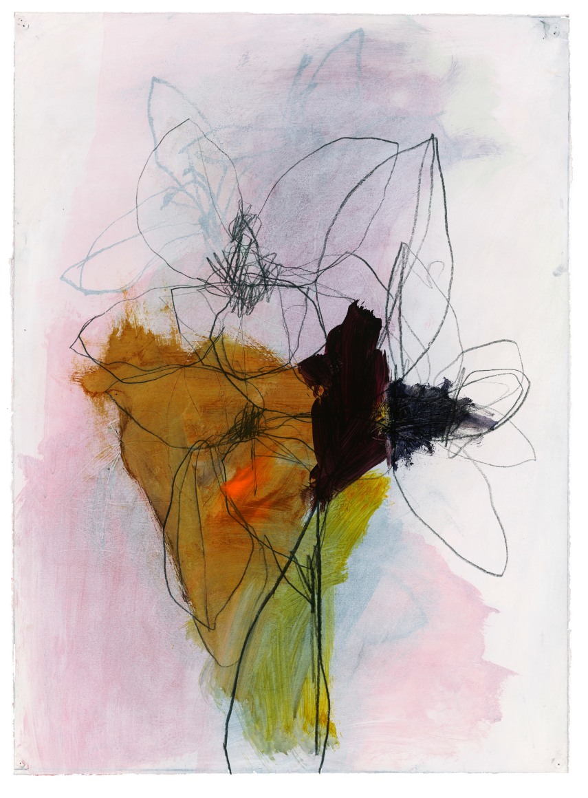 Andrea Rosenberg / Drawings - Exhibitions - Barry Whistler Gallery