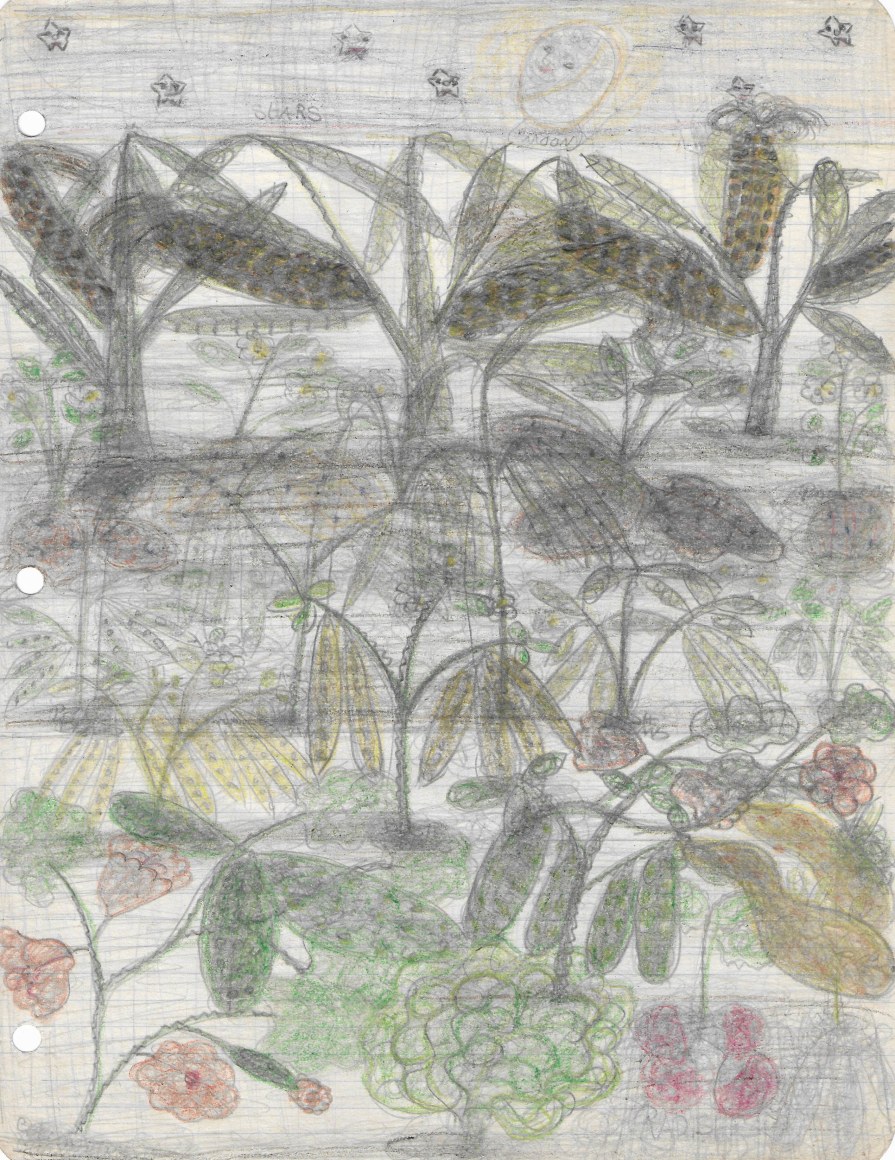 Pearl Blauvelt - Artists - Andrew Edlin Gallery