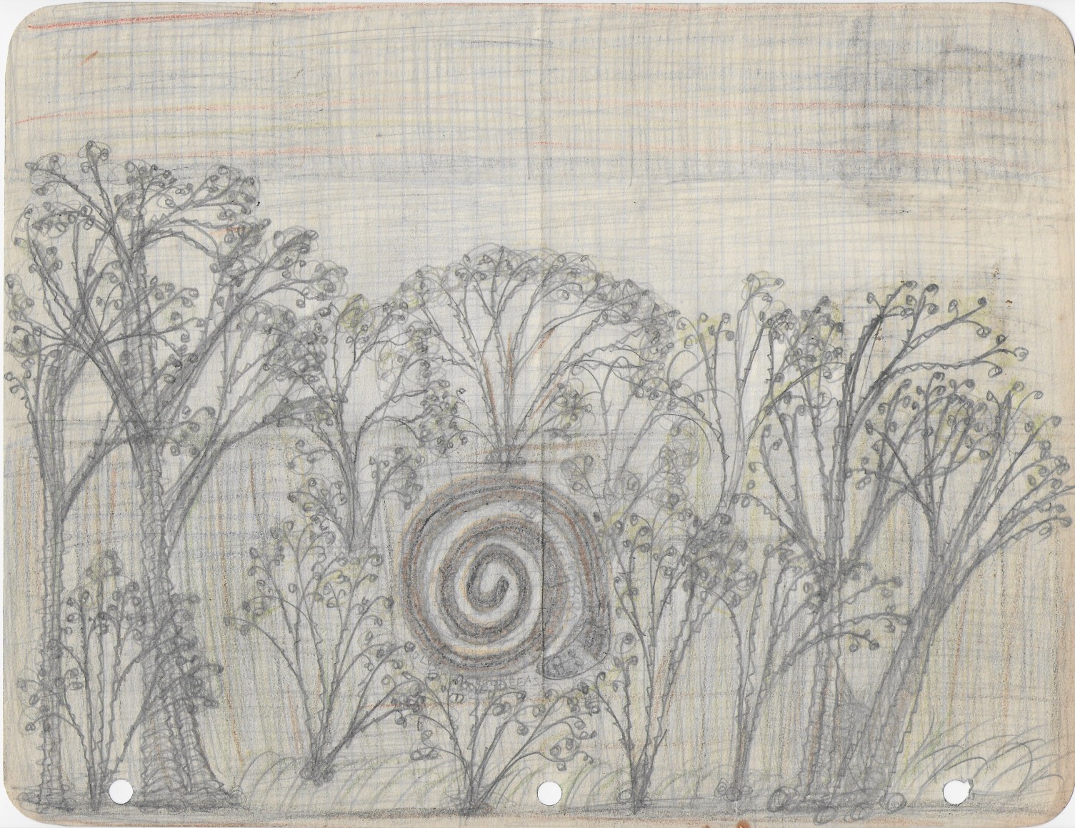 Pearl Blauvelt - Artists - Andrew Edlin Gallery