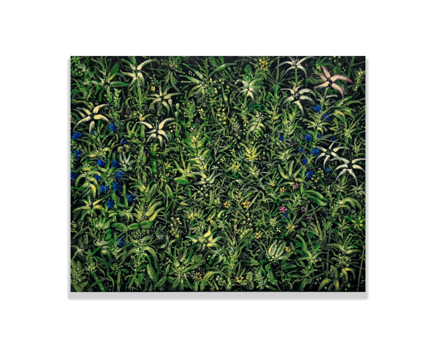 Paul Manes - Artists - Cris Worley Fine Arts