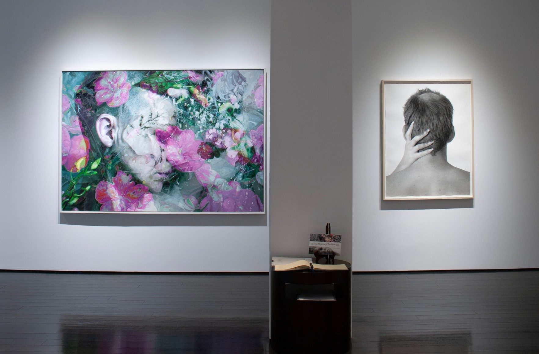 Alyssa Monks | Clio Newton - Exhibitions - Forum Gallery