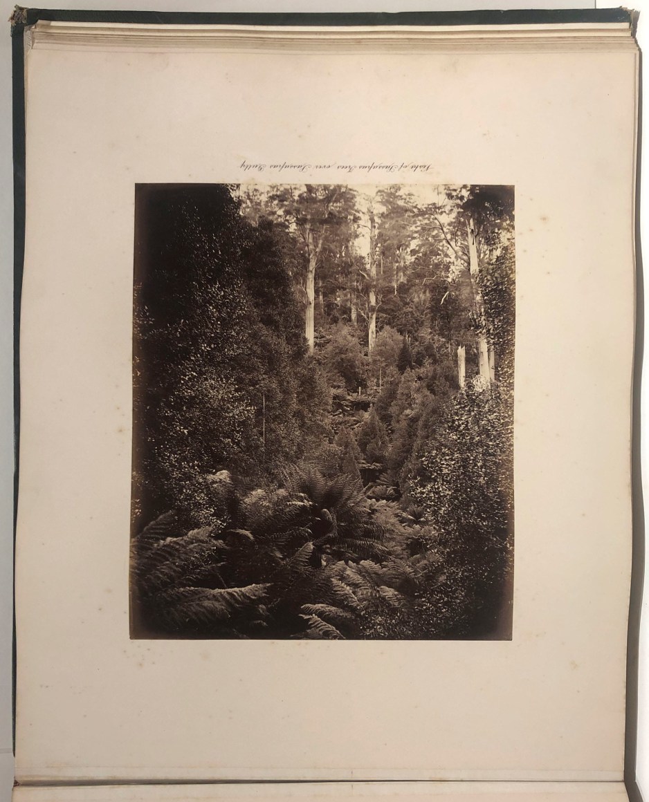 LARGE VIEWS IN VICTORIA ALBUM C. 1860 - A large album gilt-stamped ...